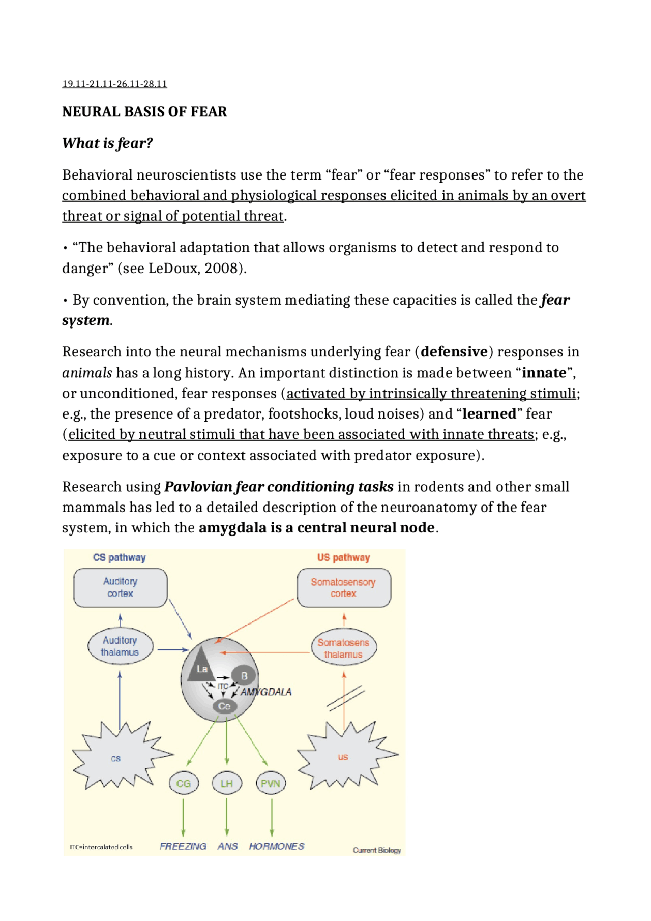 Affective Neuroscience And Psychopathology Appunti Di Neuroscienze
