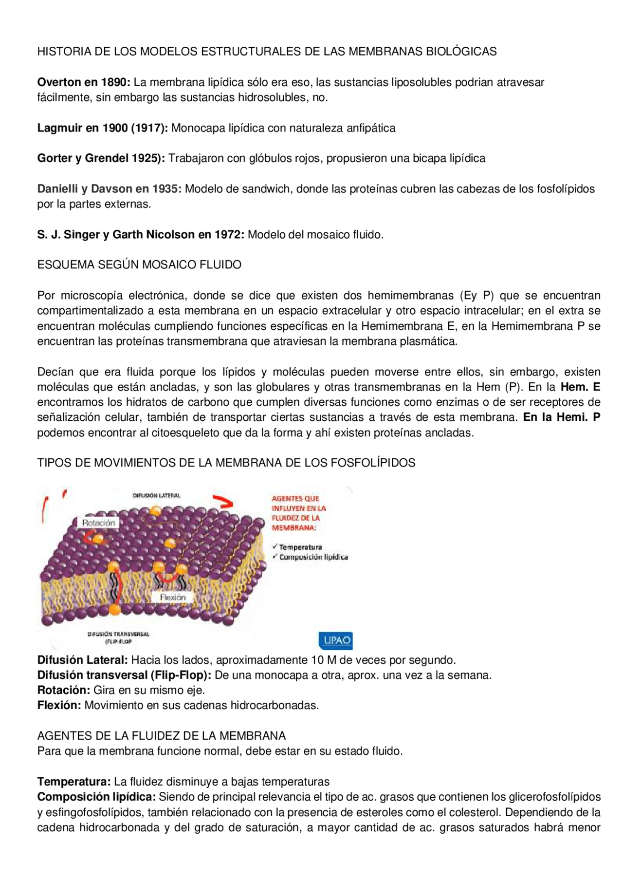 Membrana PlasmÁtica Apuntes BiologÍa Docsity