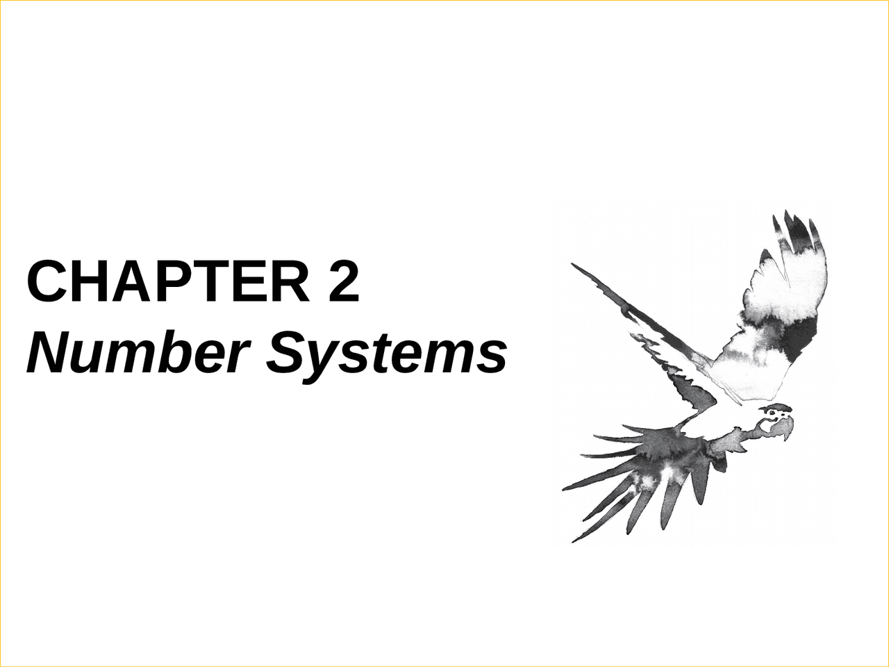 Information Slide In University Docsity