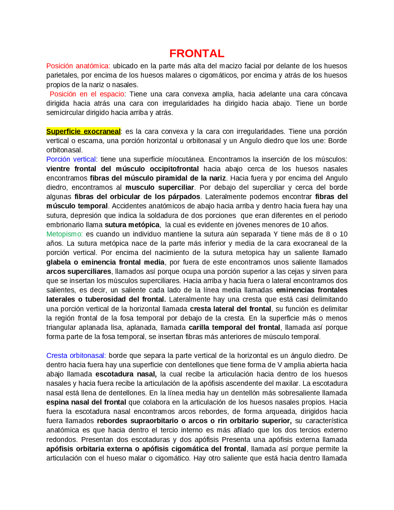 Hueso Frontal Accidentes Anatómicos Apuntes De Anatomía Docsity