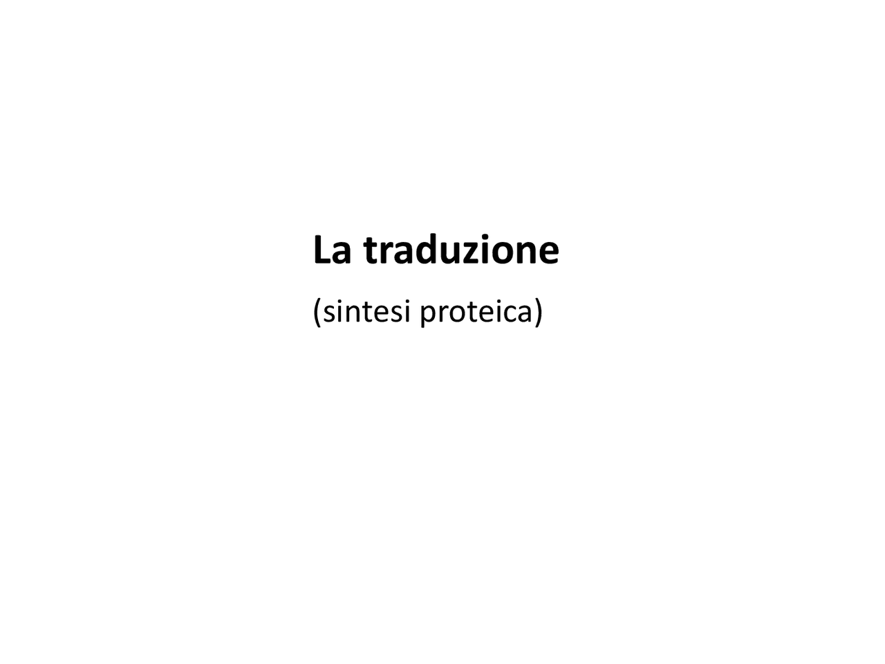 Traduzione E Sintesi Proteica Docsity
