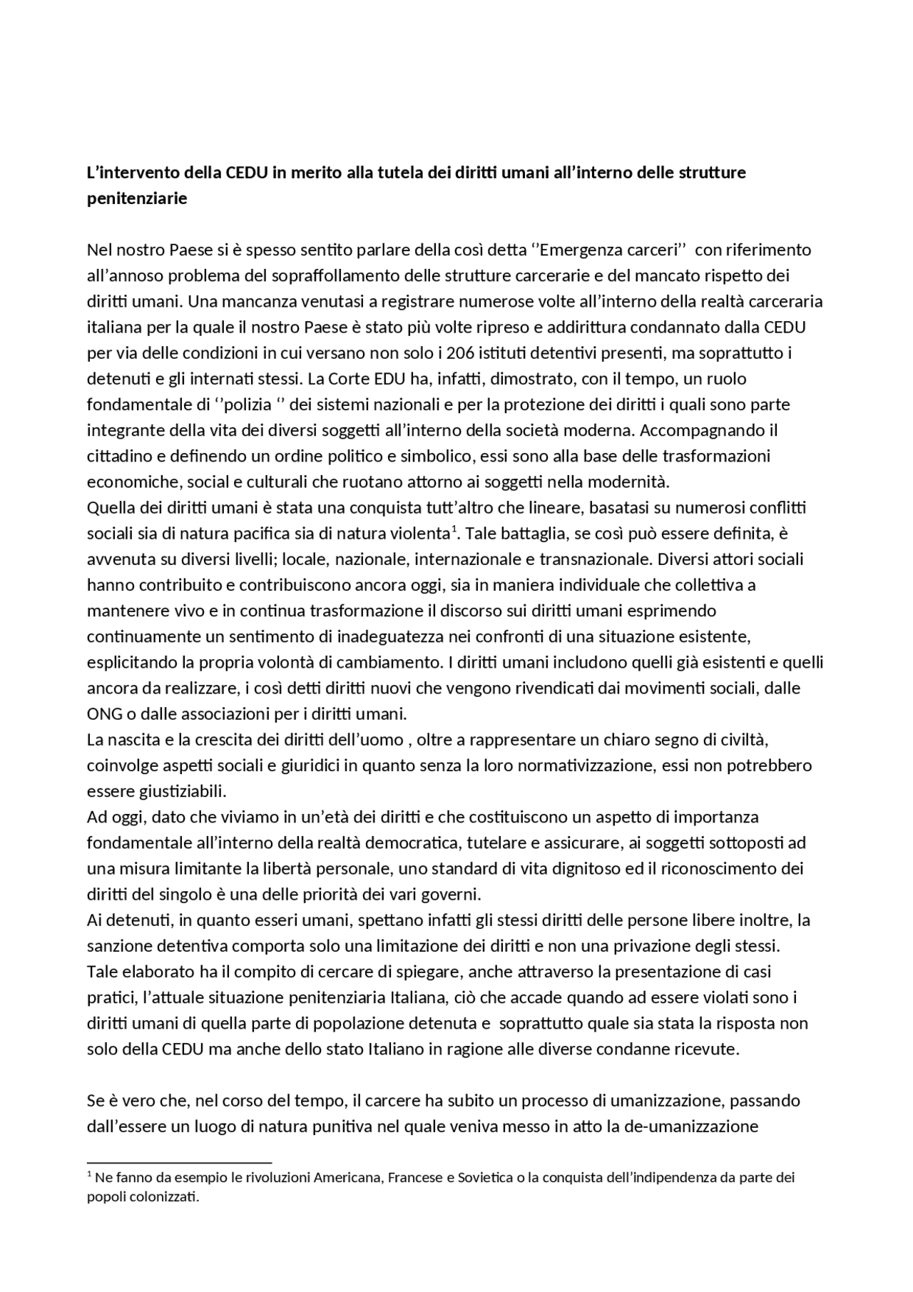 Saggio Diritti Umani Docsity