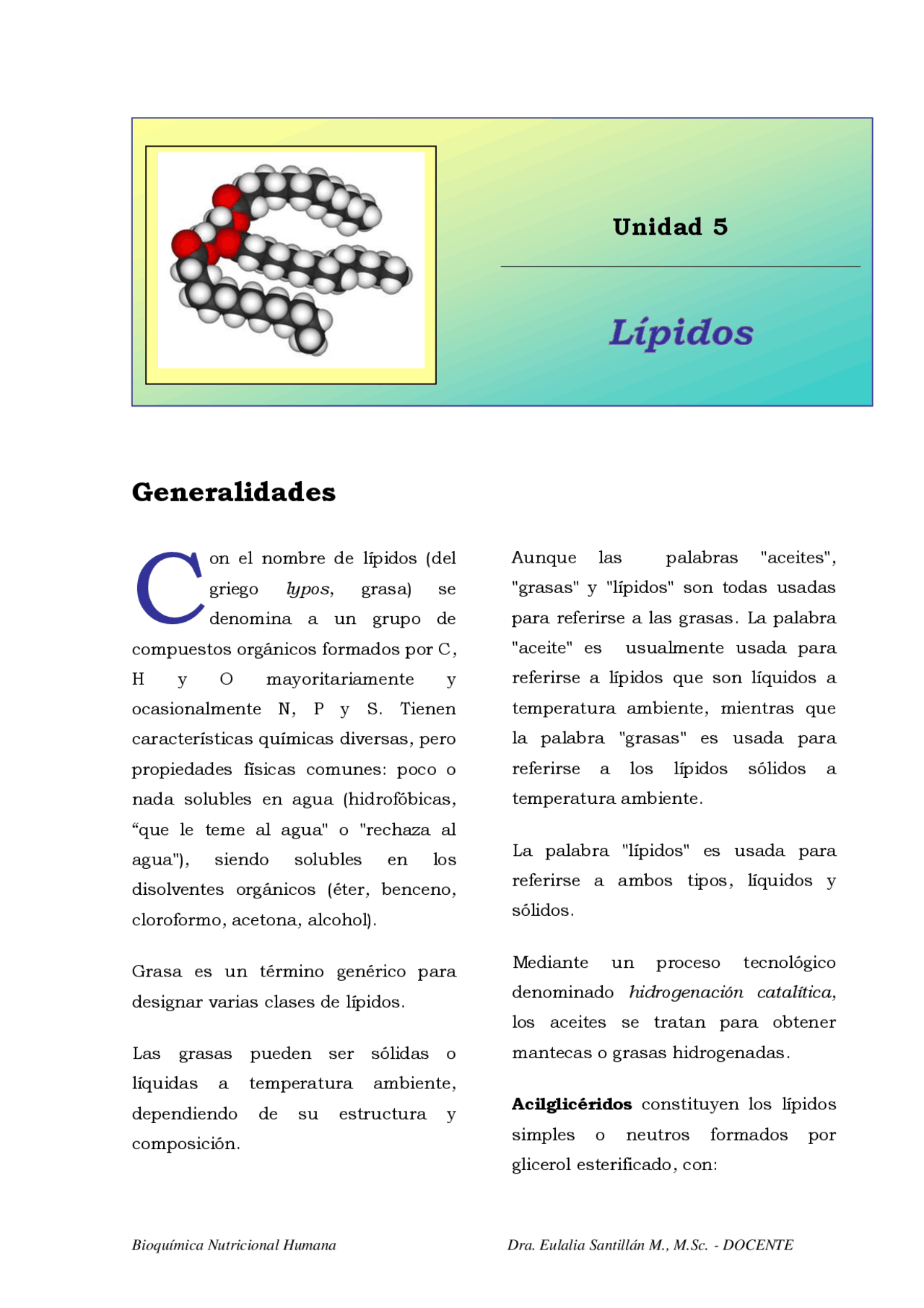 Digestión Absorción Y Metabolismo De Lípidos Docsity