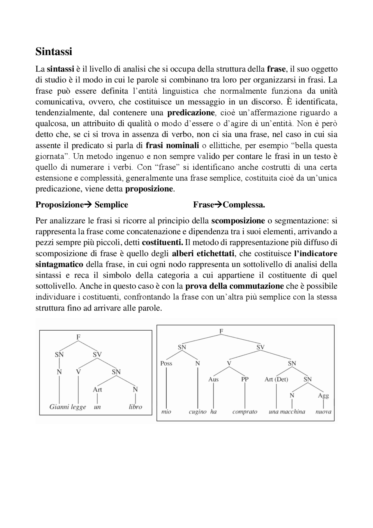 Appunti di Sintassi da "La linguistica. Un corso introduttivo" di Berruto-Cerruti - Docsity