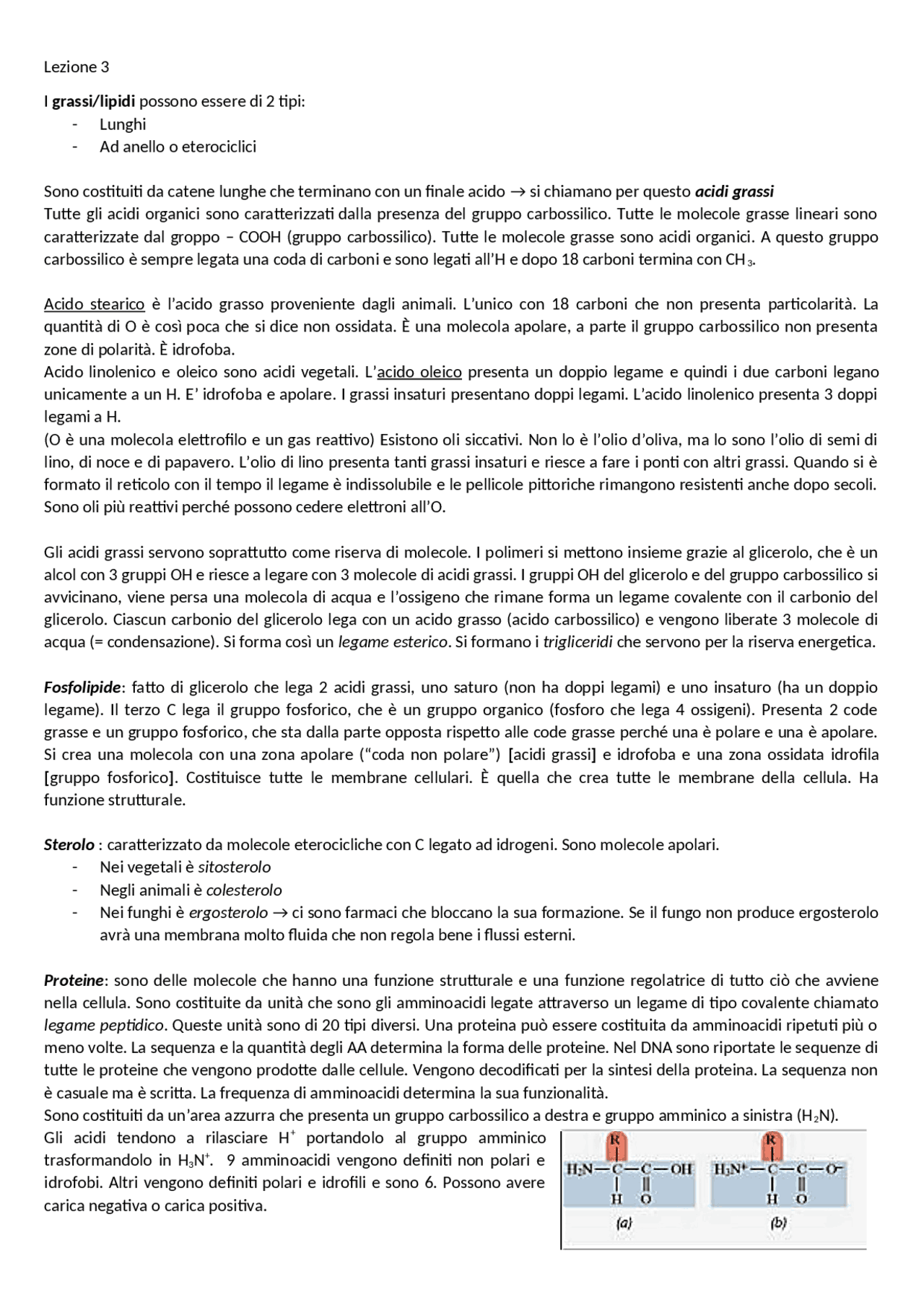 Appunti Sui Grassilipidi Docsity