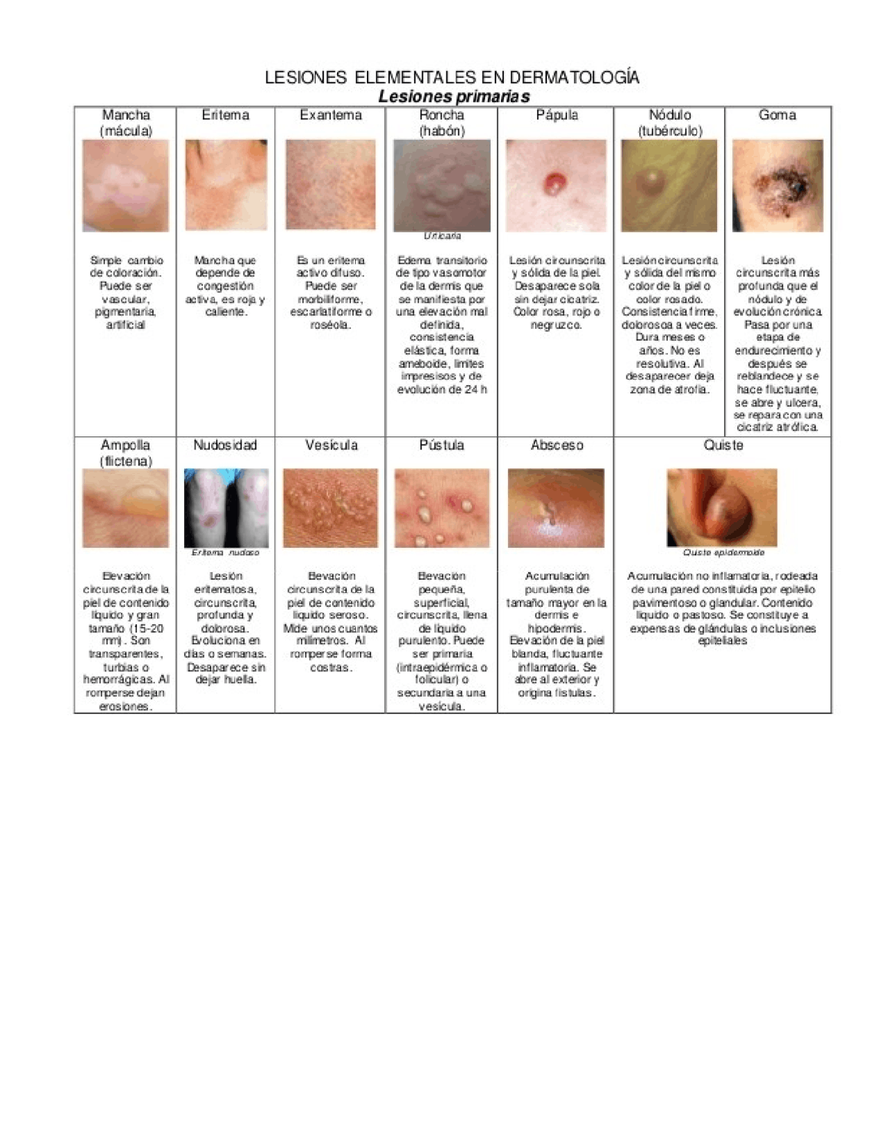 Lesiones dermatologicas | Apuntes de Medicina | Docsity