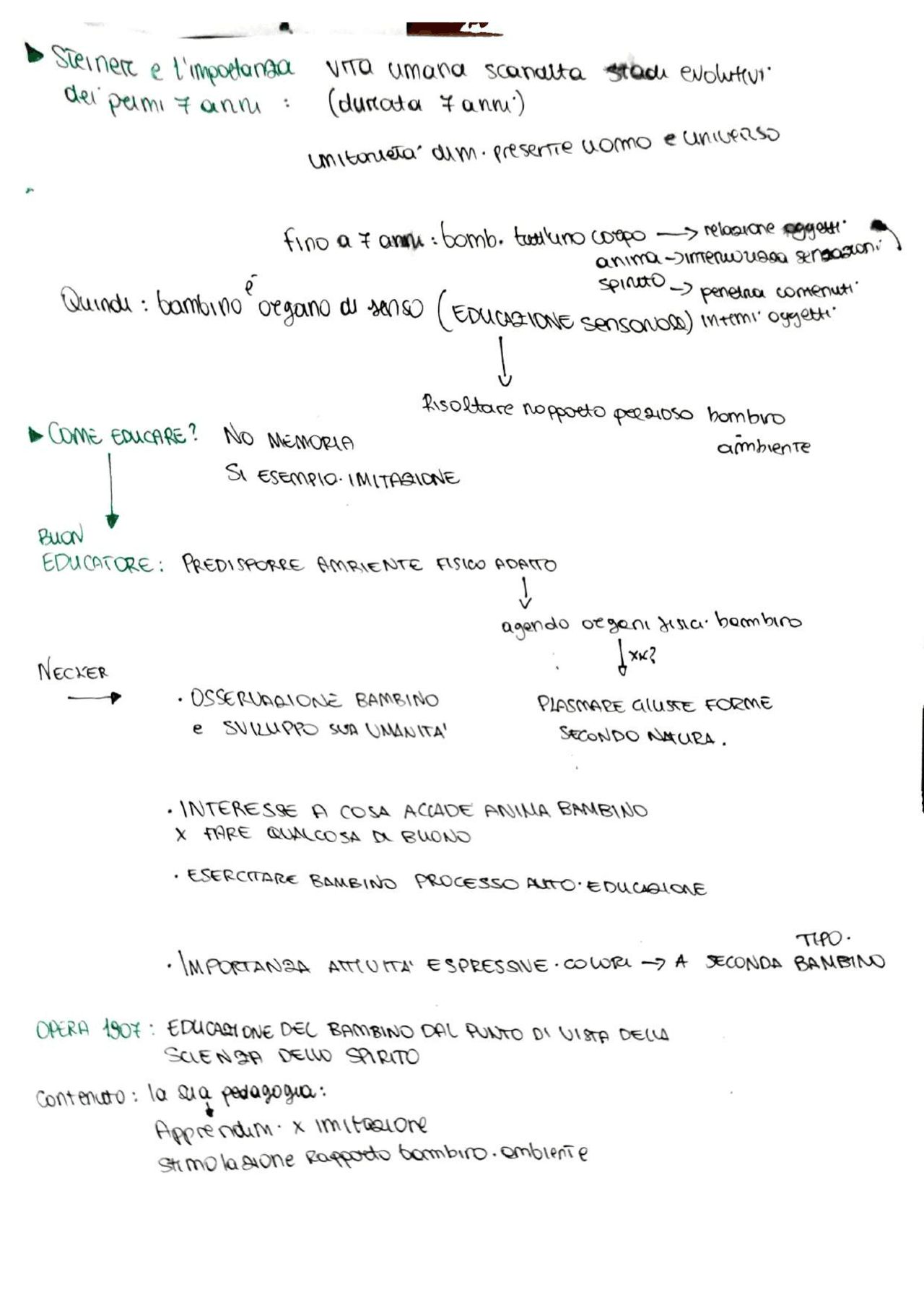 Steiner Schema 2 Storia Delle Teorie Dellinfanzia Docsity