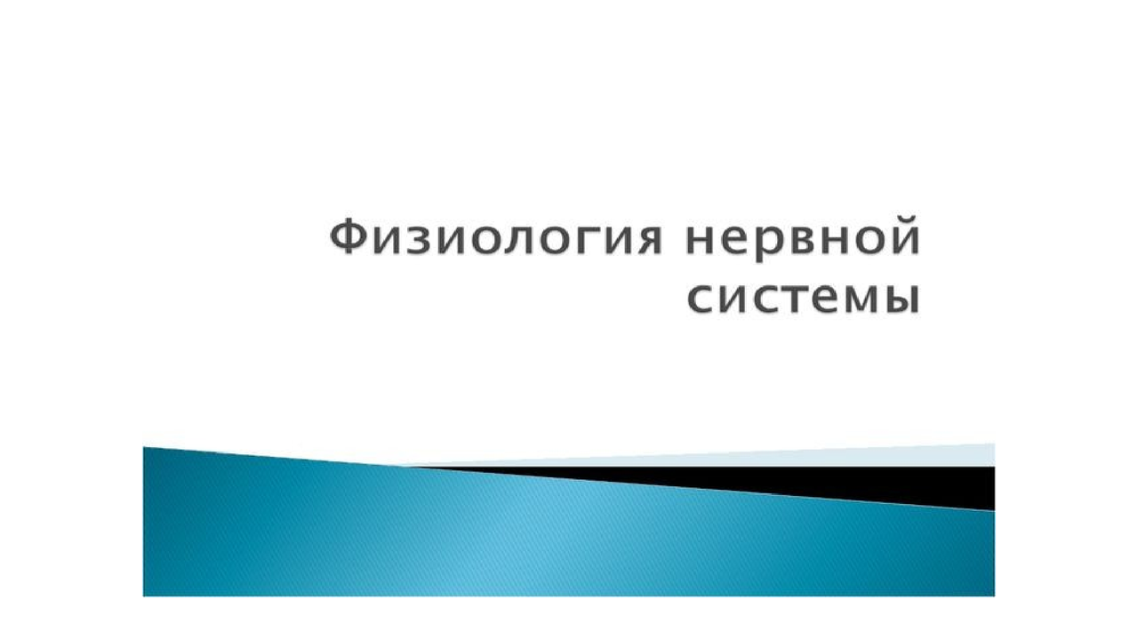 Презентация для сдачи физиологии Docsity