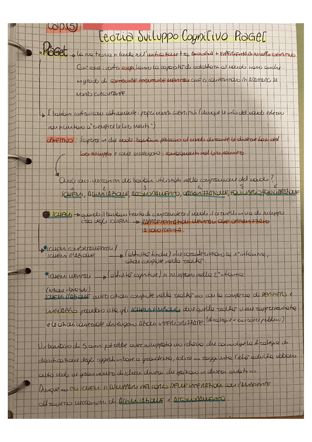 Piaget Introduzione Appunti Di Psicologia Docsity