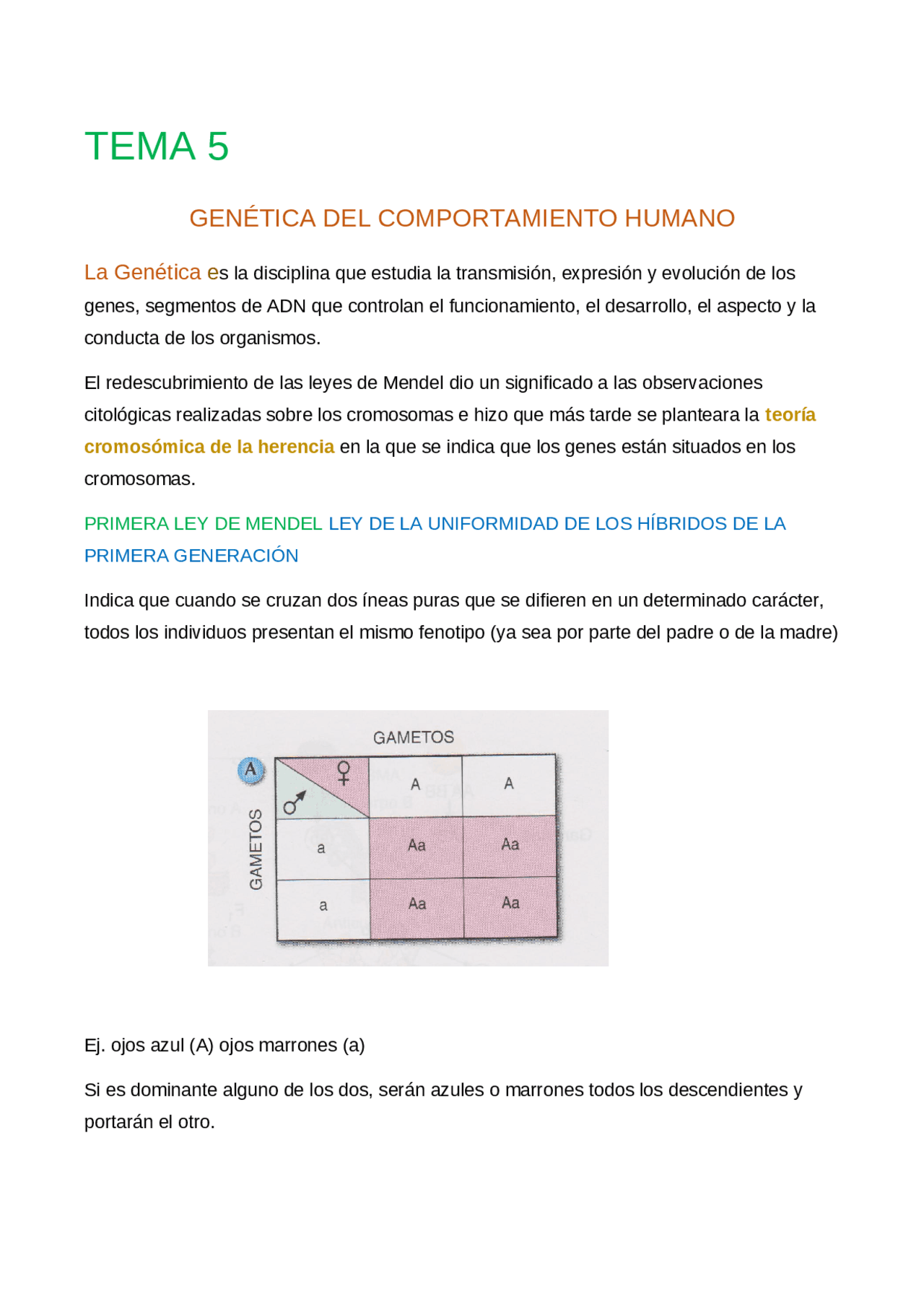 Tema 5 Fundamentos De Psicobiología Docsity