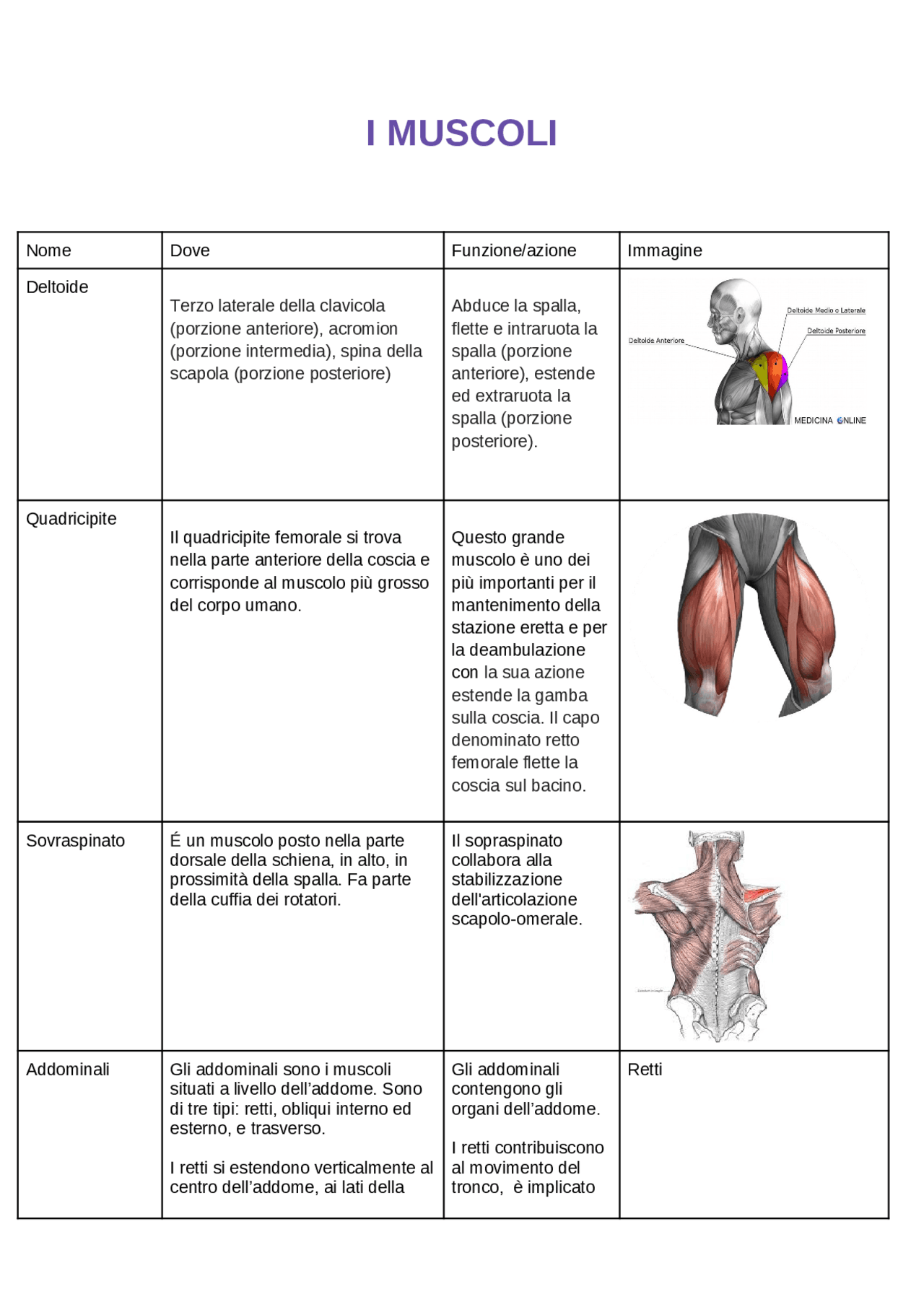 I muscoli del corpo umano (parte 1) - Docsity