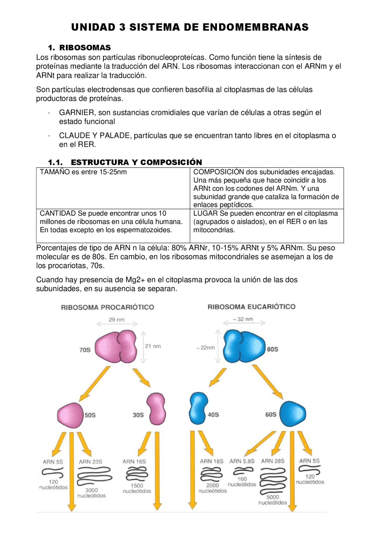 Sistema de endomembranas - Docsity