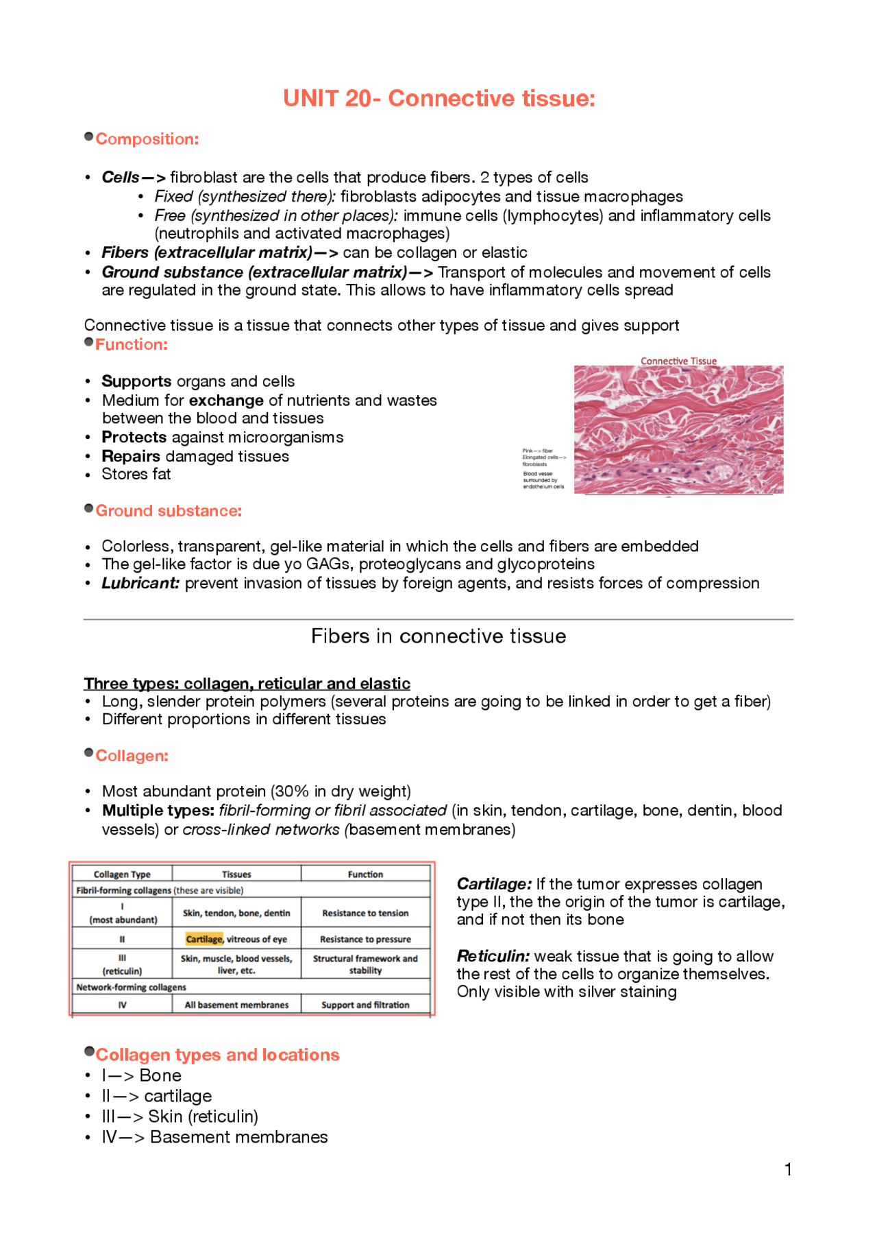 Connective tissue notes - Docsity