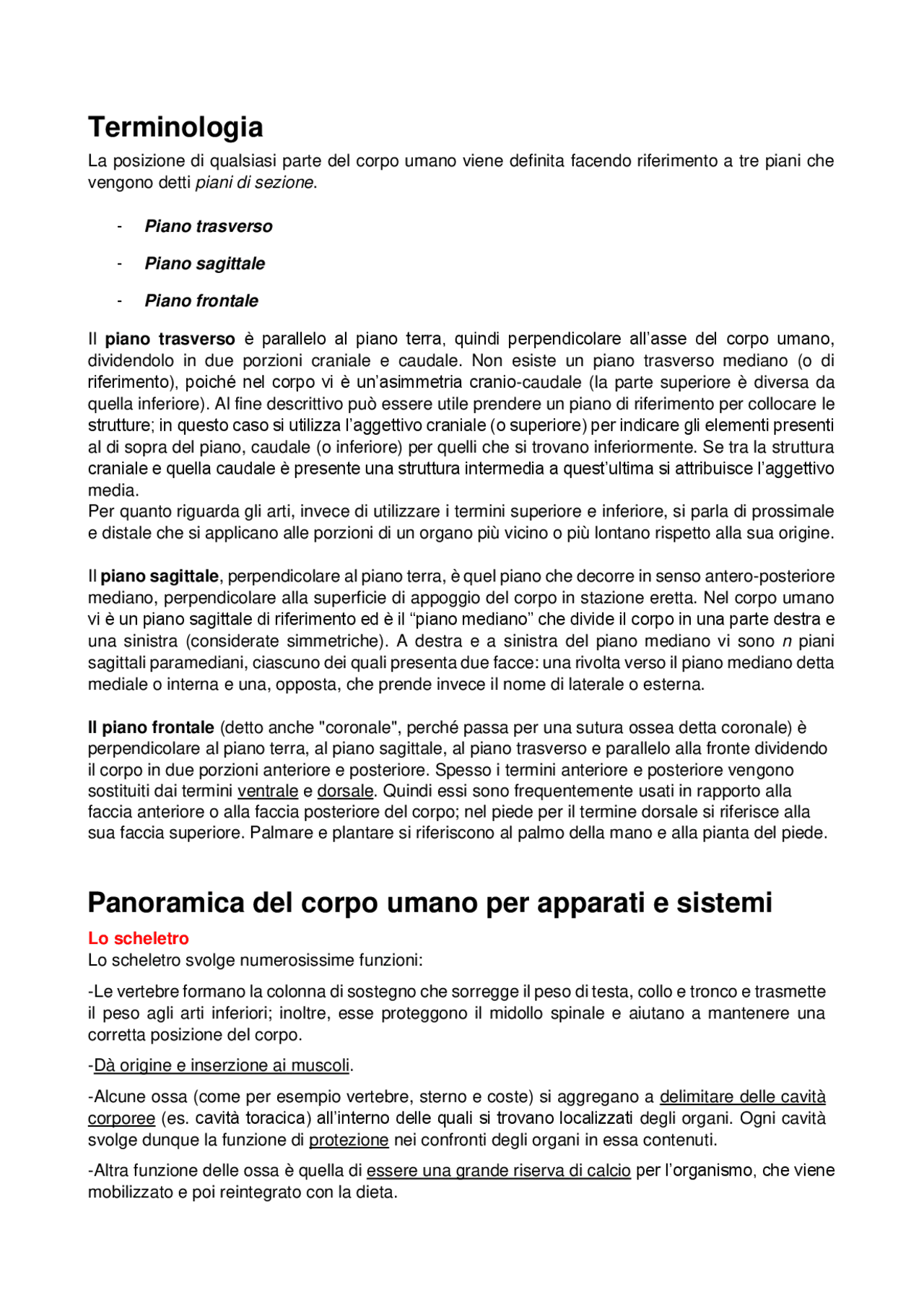 Riassunto Di Anatomia Docsity