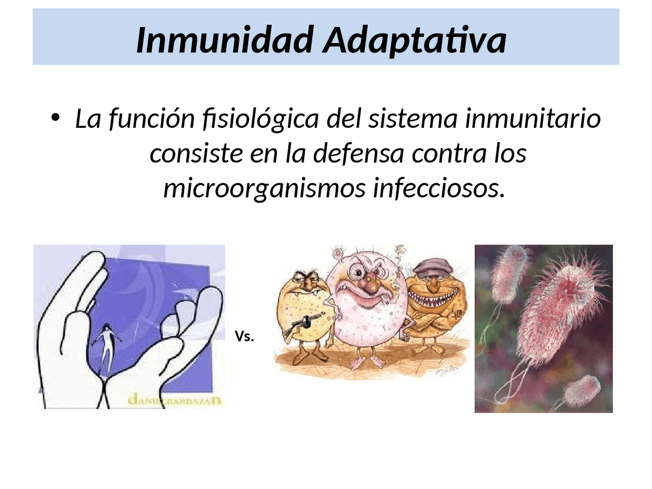 Tipos de inmunidad adaptativa - Docsity