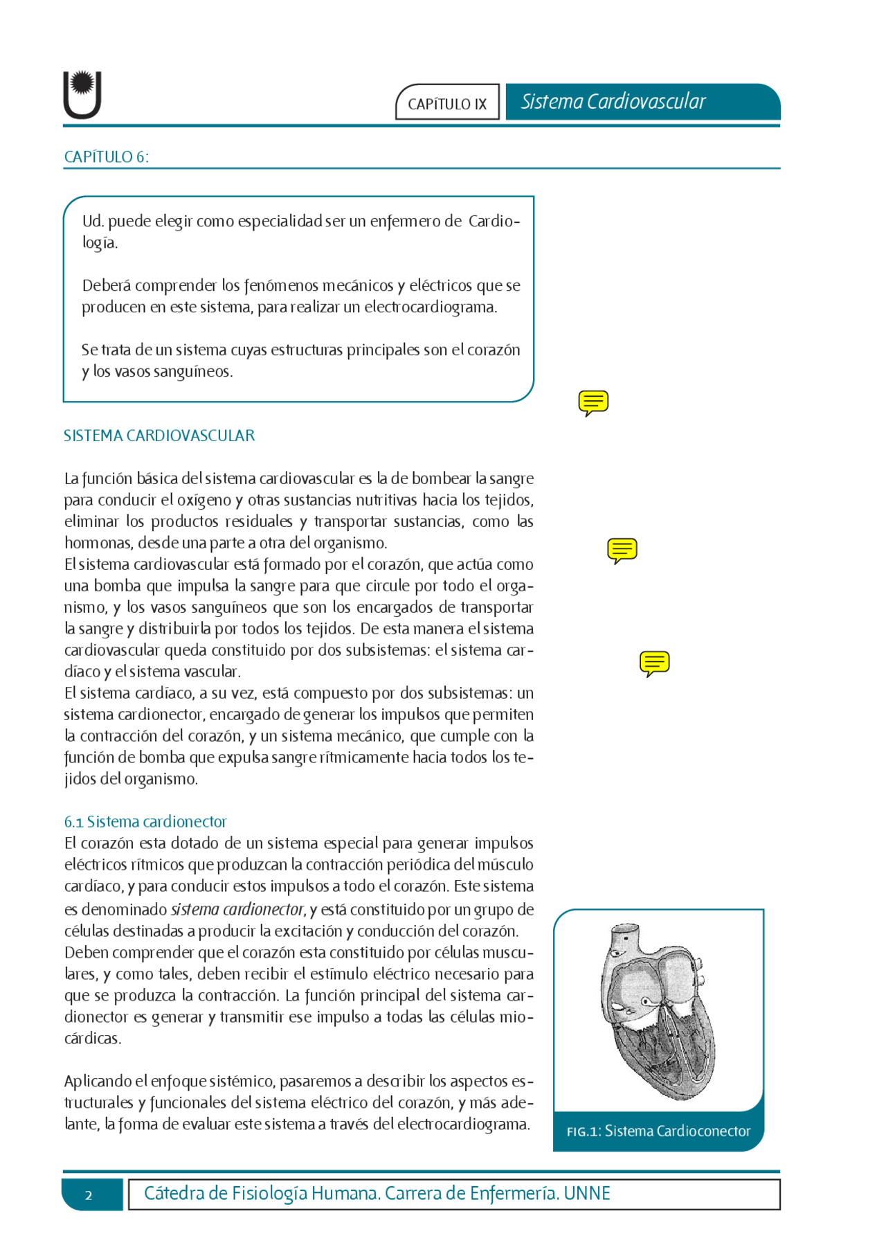 Sistema Circulatorio Resumen Docsity