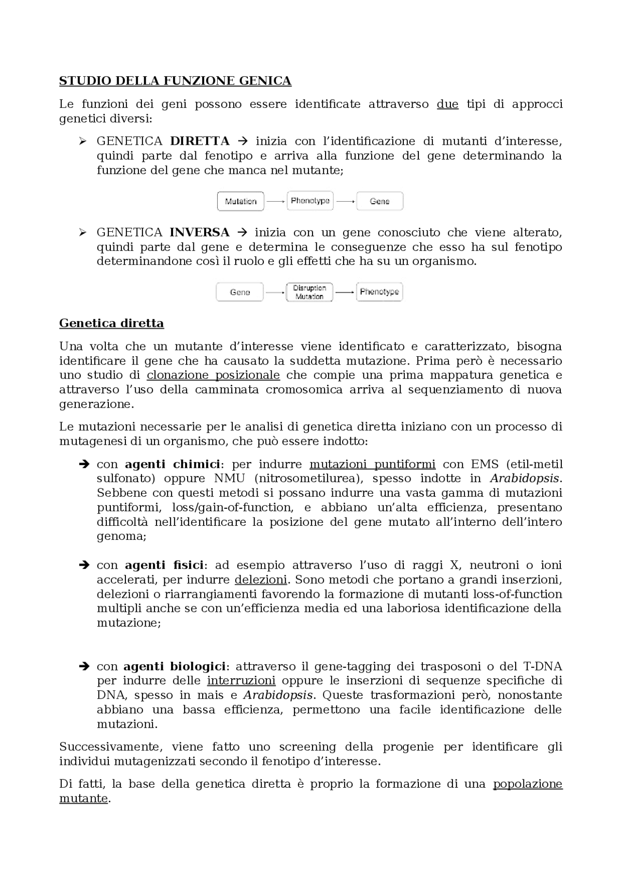 Basi Molecolari E Cellulari Delle Biotecnologie Vegetali Docsity