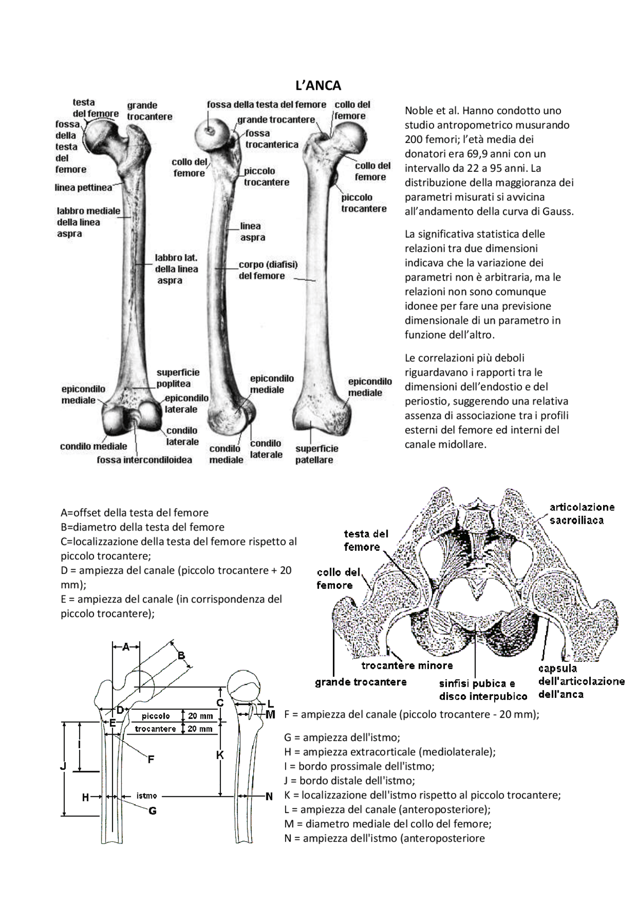 Riassunto Bioingegneria Meccanica Parte 2 Docsity