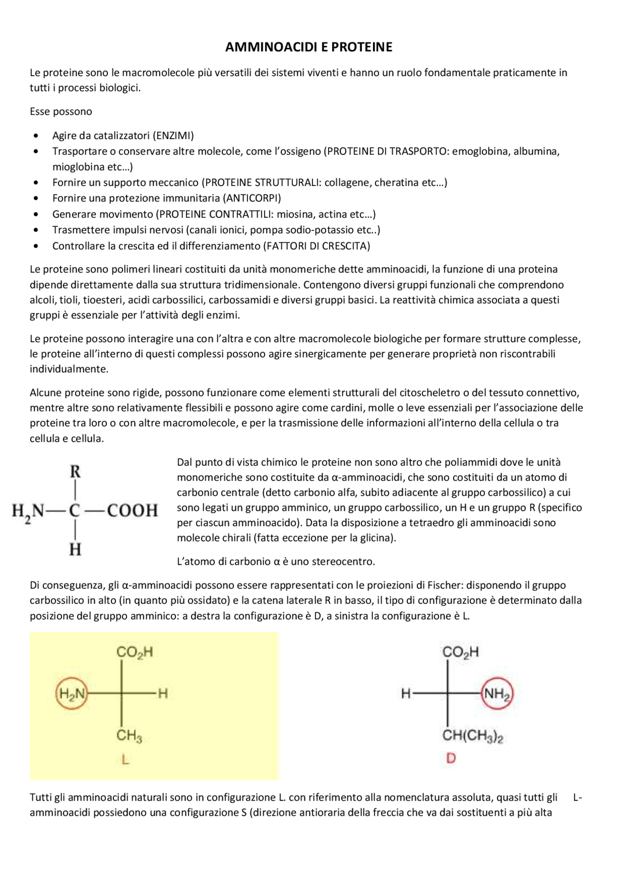 Riassunto Bioingegneria Chimica Fino A Inibitori Docsity