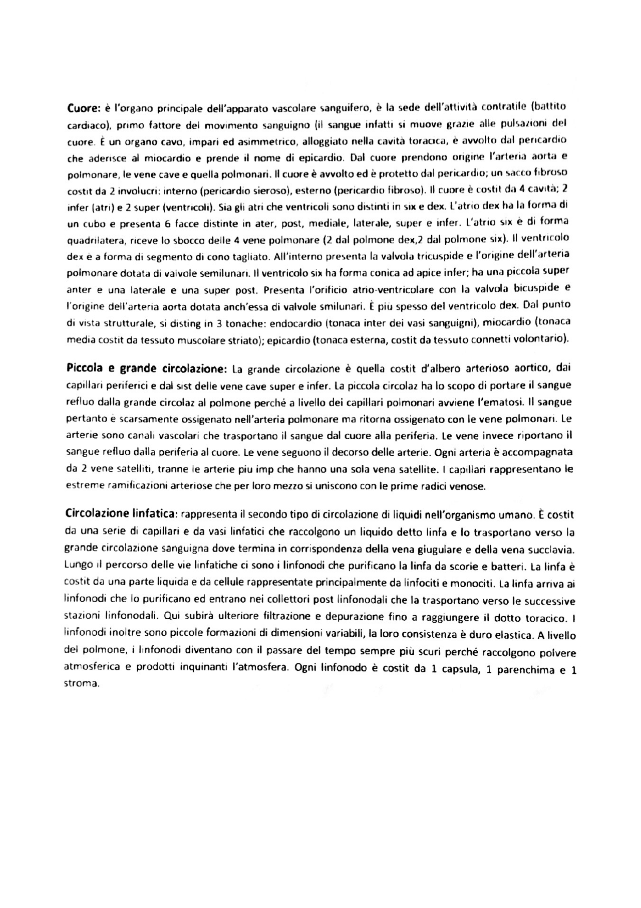 Il Cuore è Lapparato Circolatorio Docsity