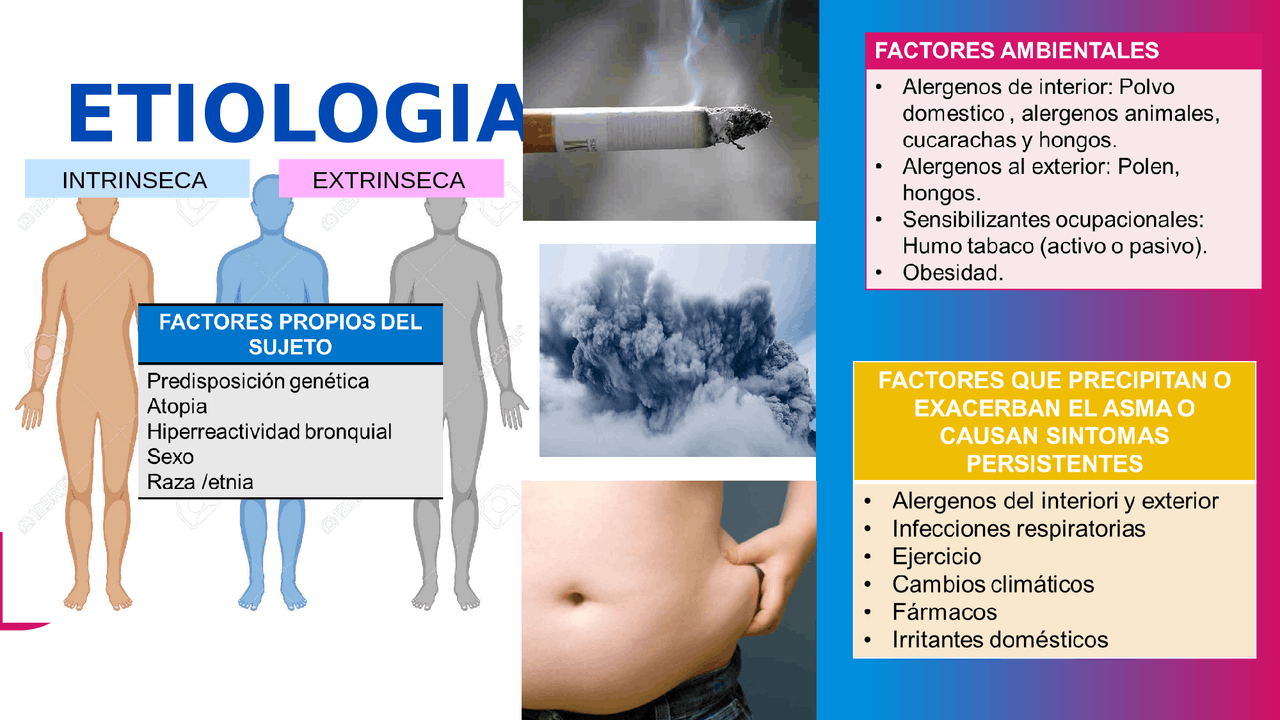 Etiologia del asma, agentes mas comunes. | Diapositivas de Neumología ...