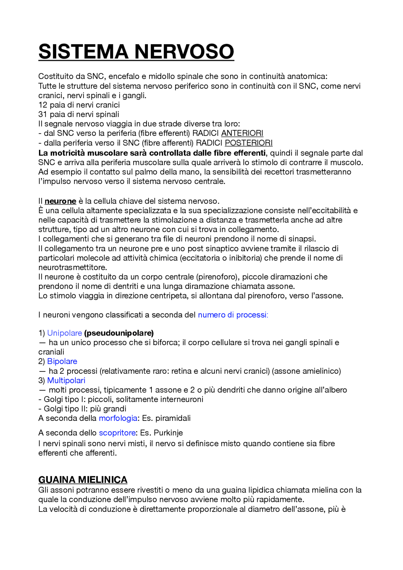 Riassunto Sulla Parte Del Sistema Nervoso Docsity