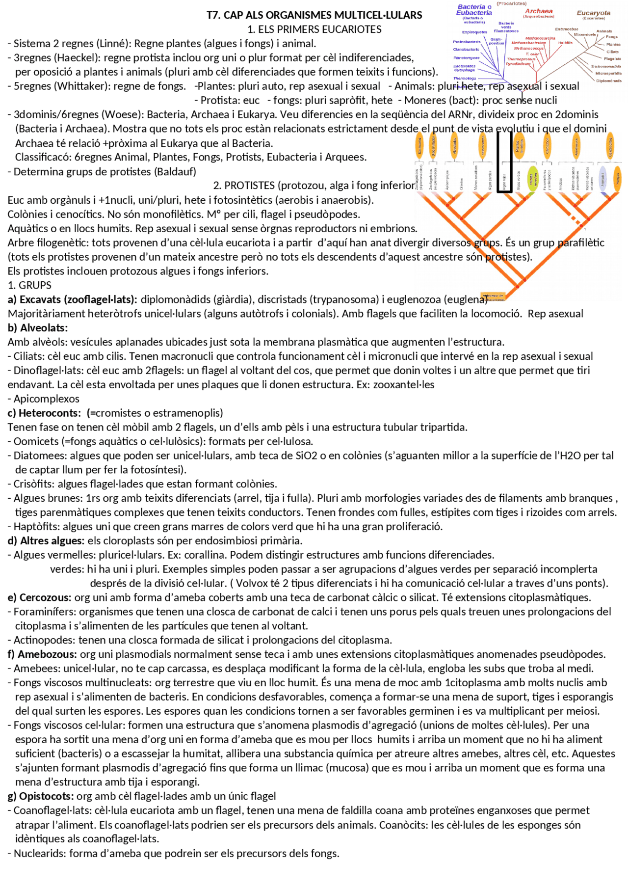 Apuntes Biologia Segundo Examen Docsity