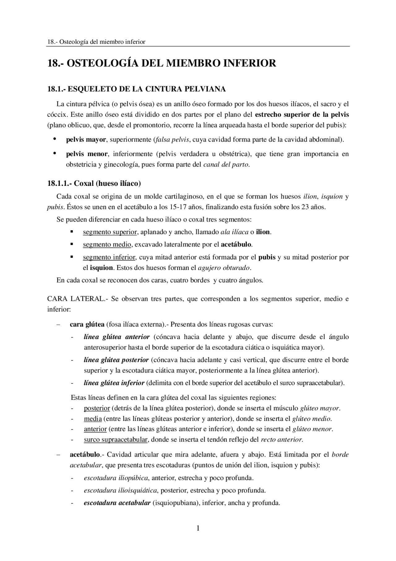 Apuntes Osteología Del Miembro Inferior Docsity