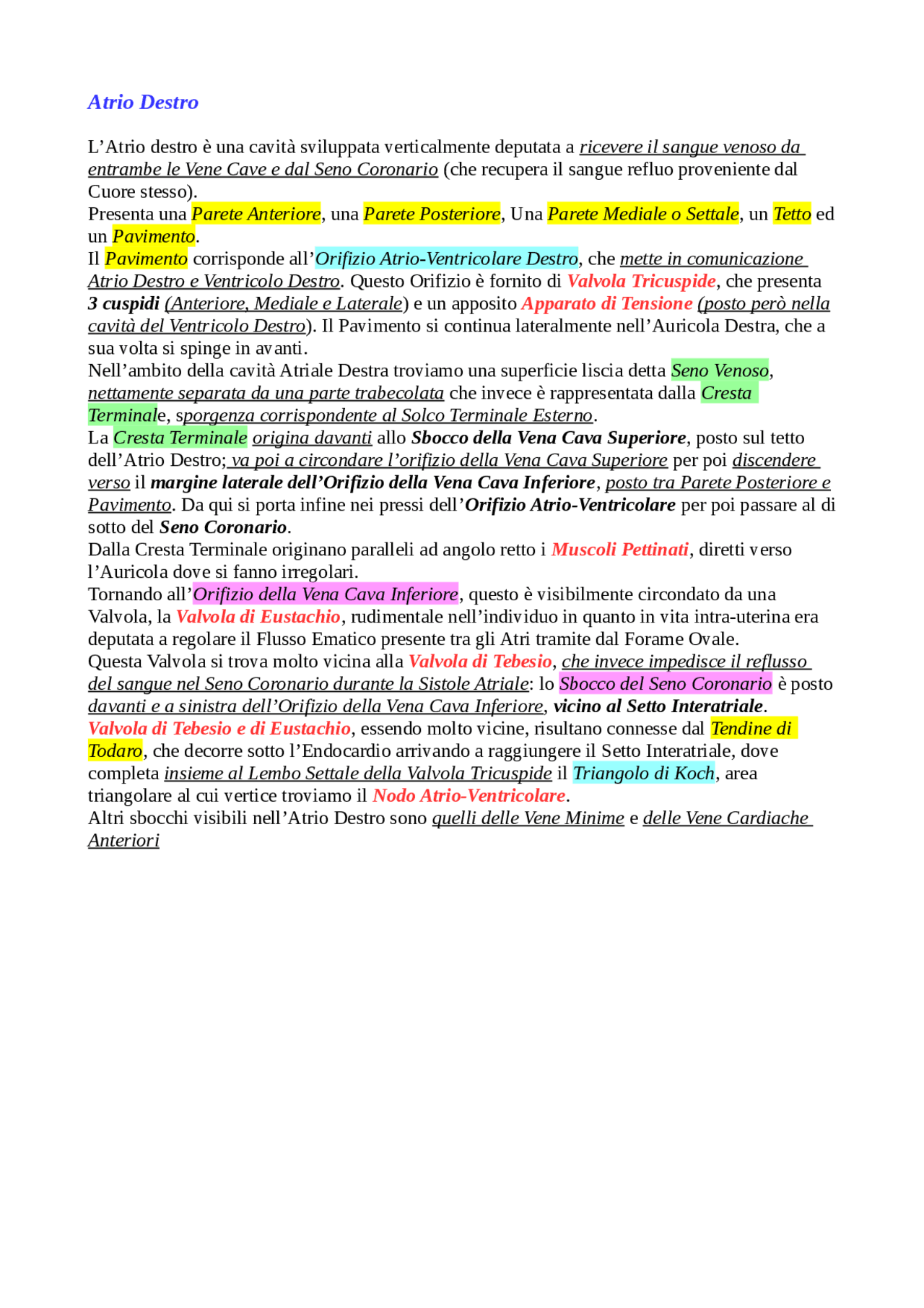 Anatomia Atrio Destro | Appunti di Anatomia | Docsity