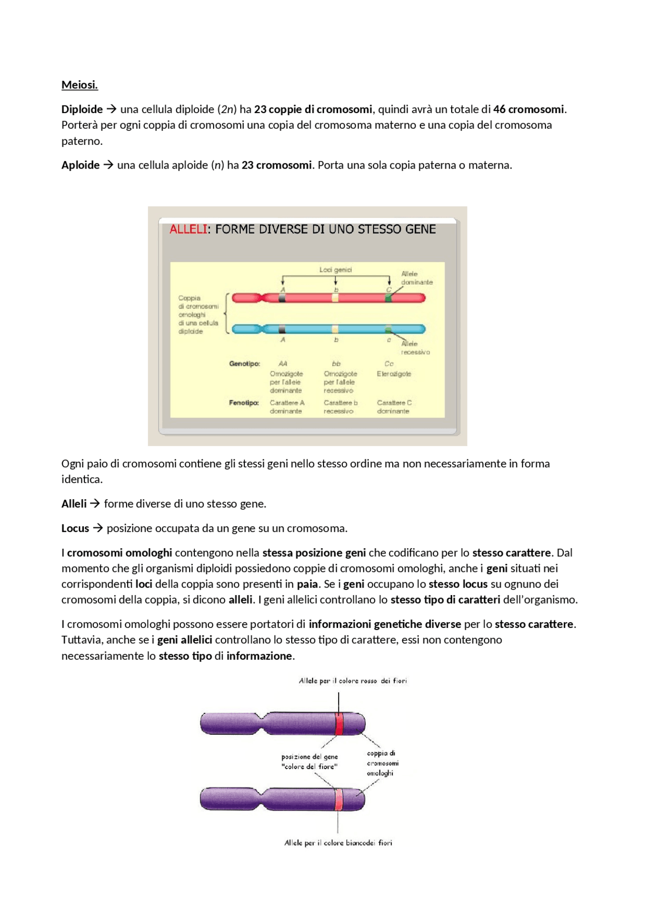 Biologia Meiosi Divisione Cellulare Docsity