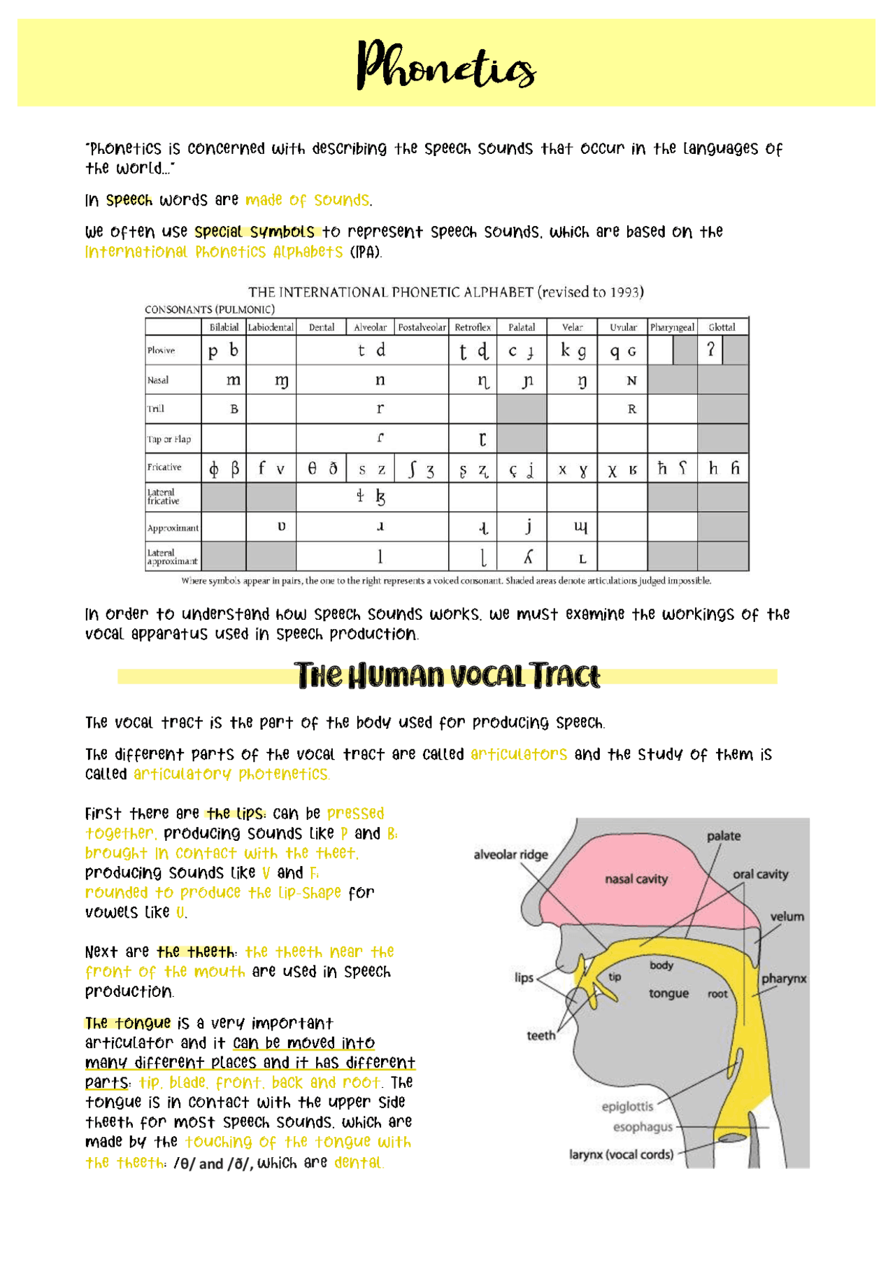 Phonetics And Phonology English Language Docsity