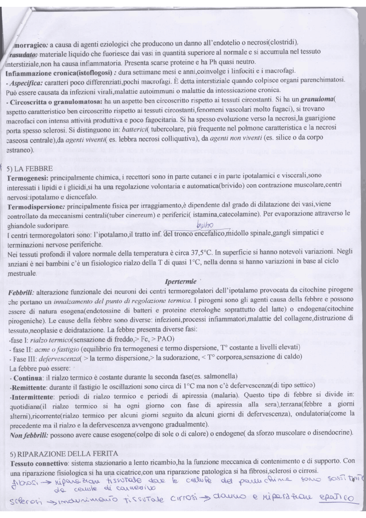 La Febbre E Ipertermie Docsity