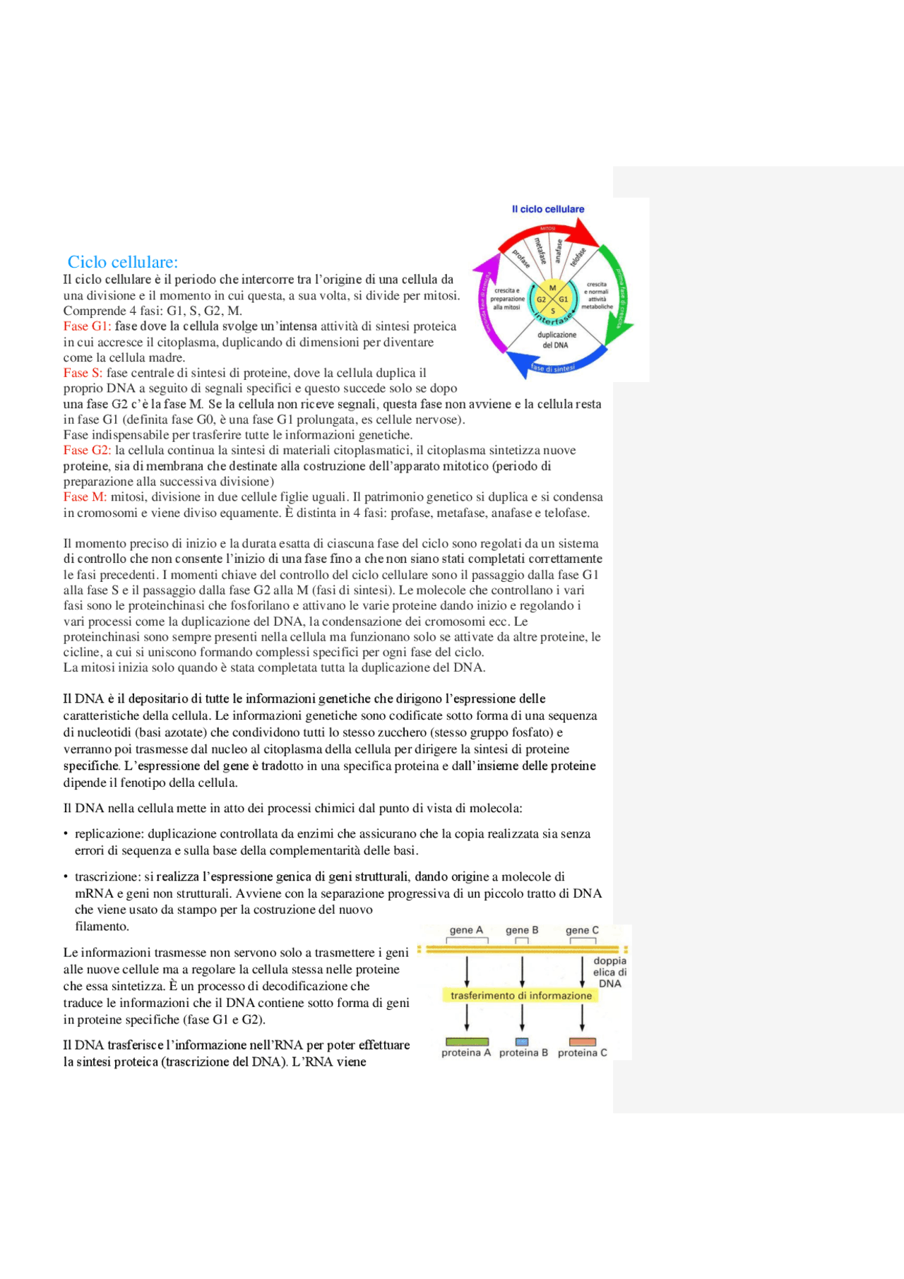 Appunti Di Citologia Docsity