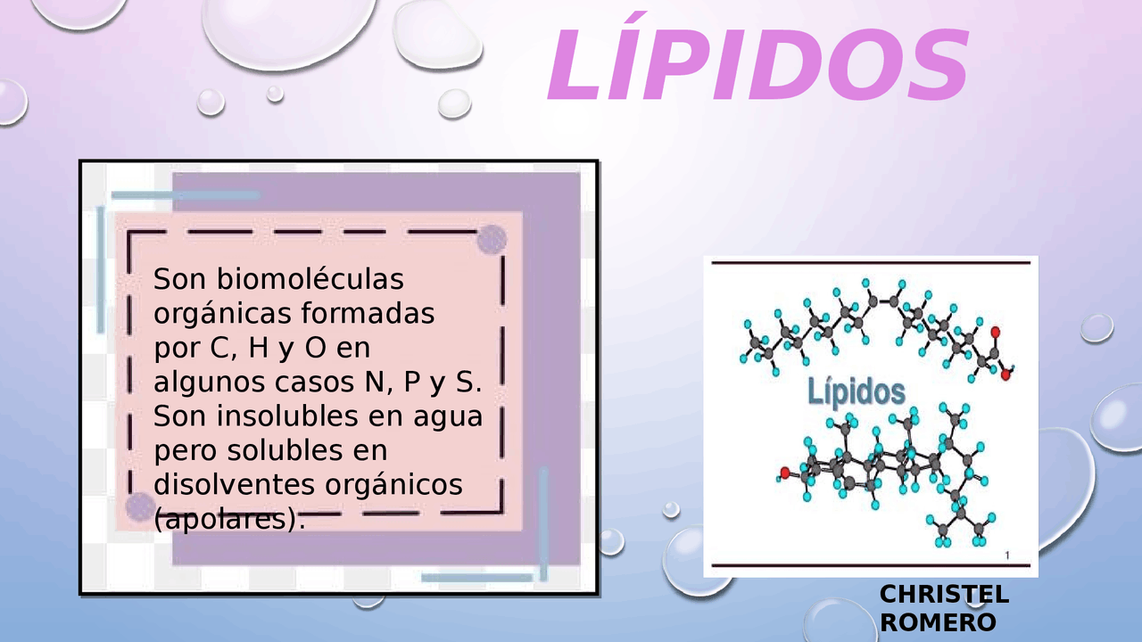 Lípidos Explicacion Breve Docsity