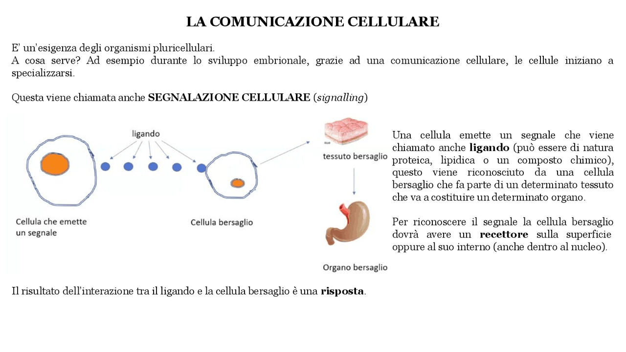 Riassunti Biologia Seconda Parte Prof A Grilli Docsity