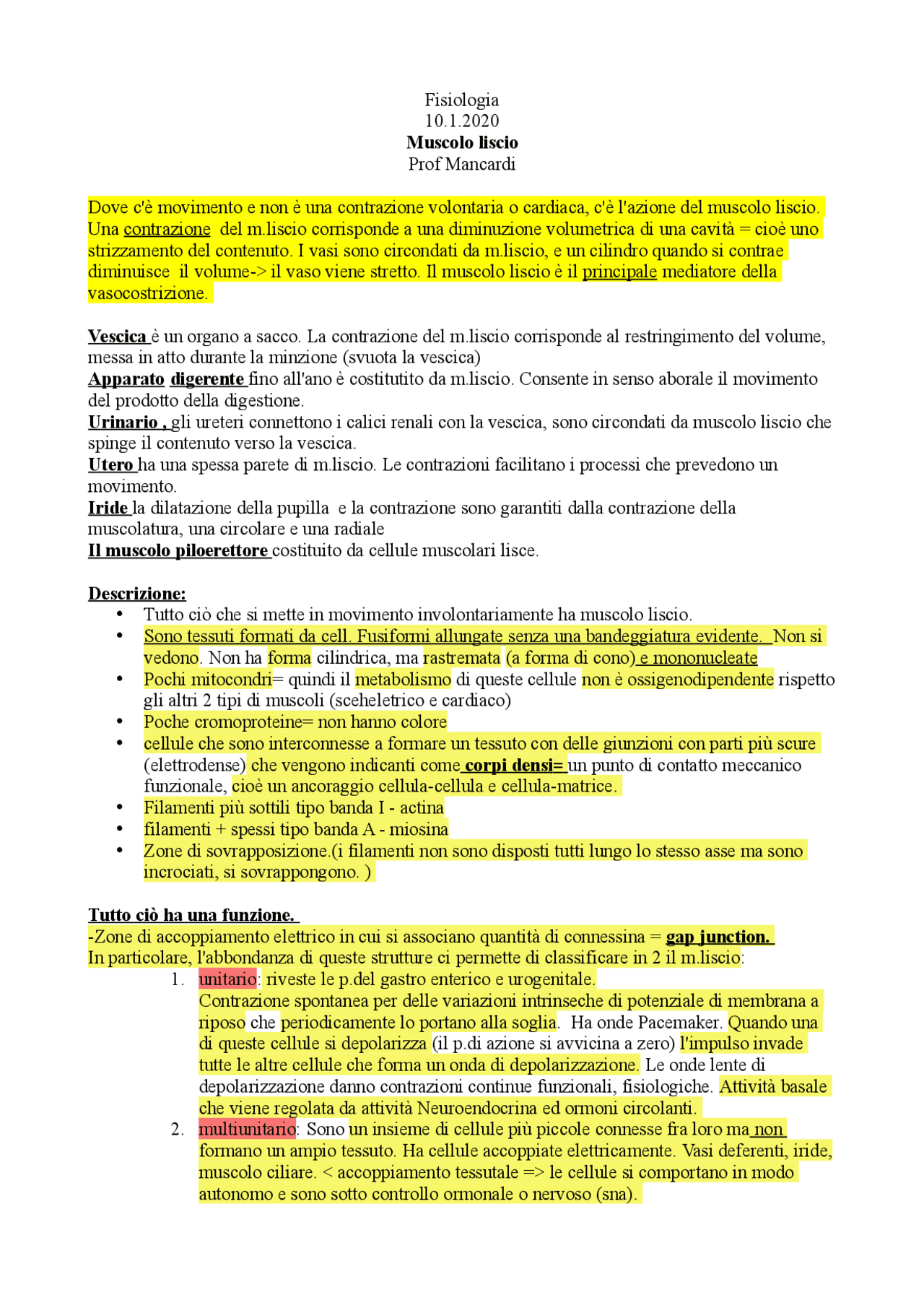 Appunti Sul Muscolo Liscio Docsity