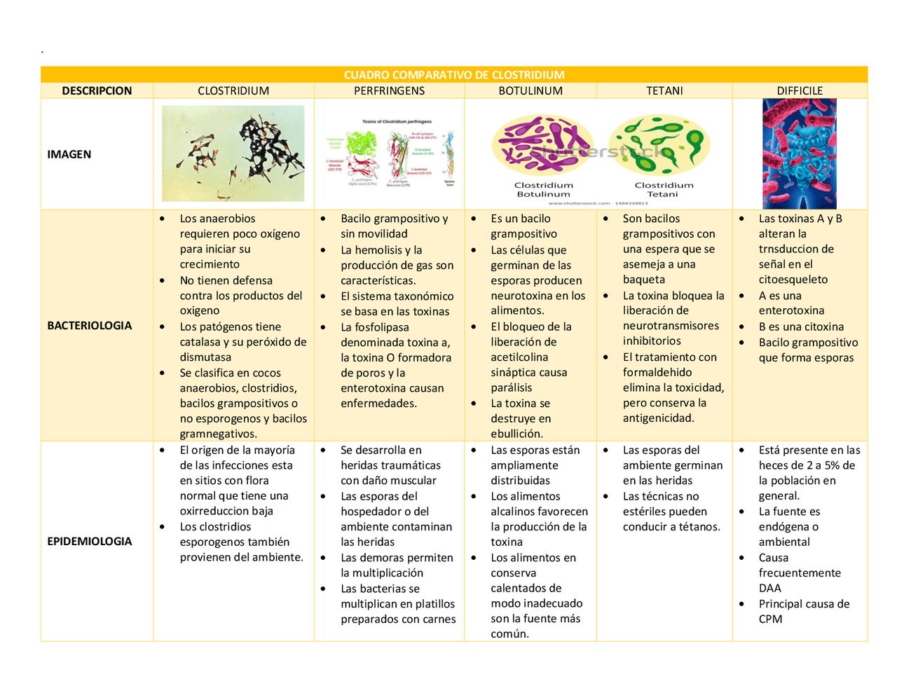 Tipos De Clostridium Apuntes De Microbiología Docsity