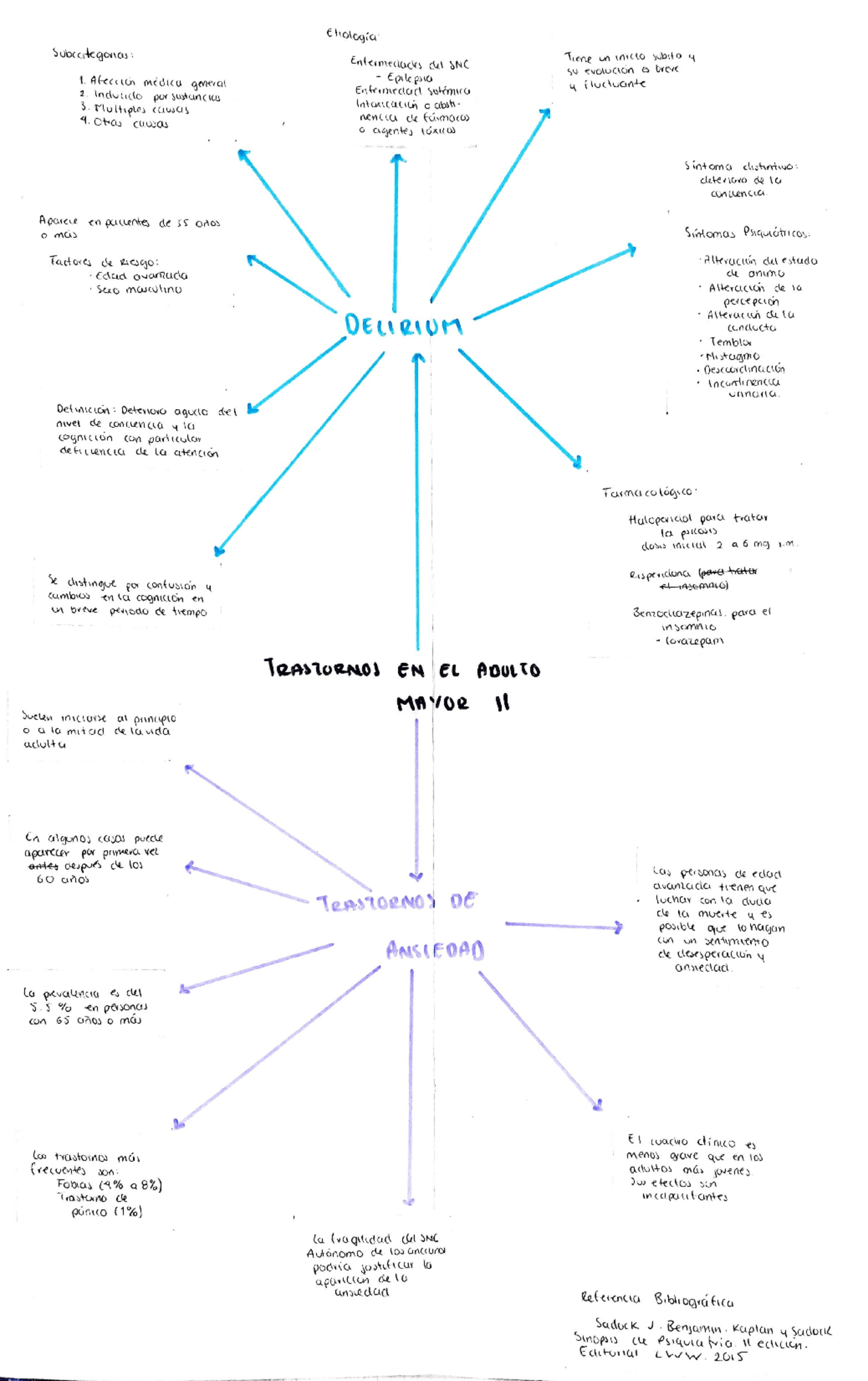 Apuntes De Psiquiatría Docsity