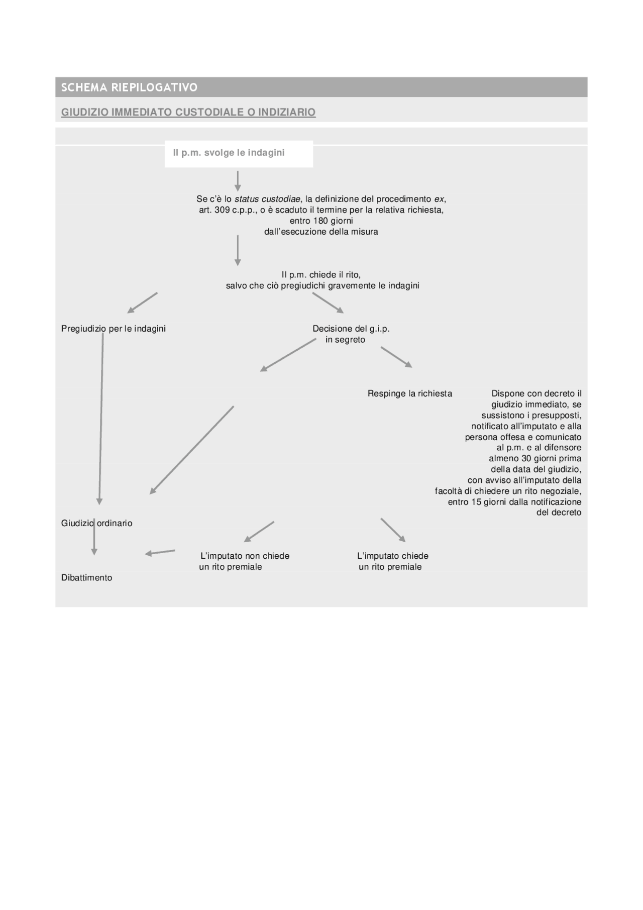 I Procedimenti Speciali Schema Giudizio Immediato Custodiale Docsity