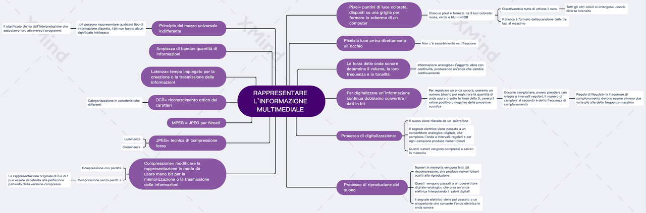 Fluency Informatica Di Base Docsity
