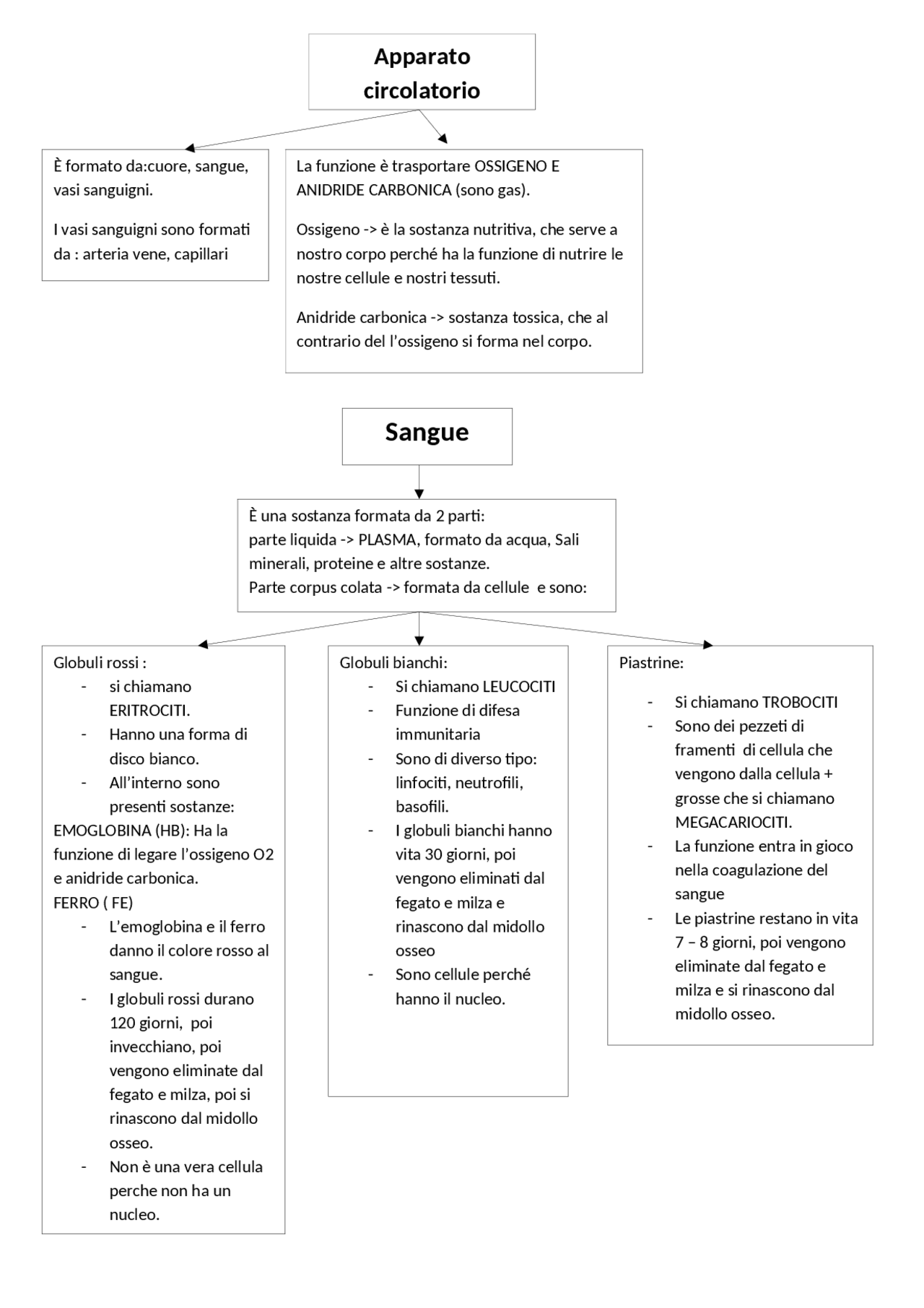 Apparato Circolatorio Docsity