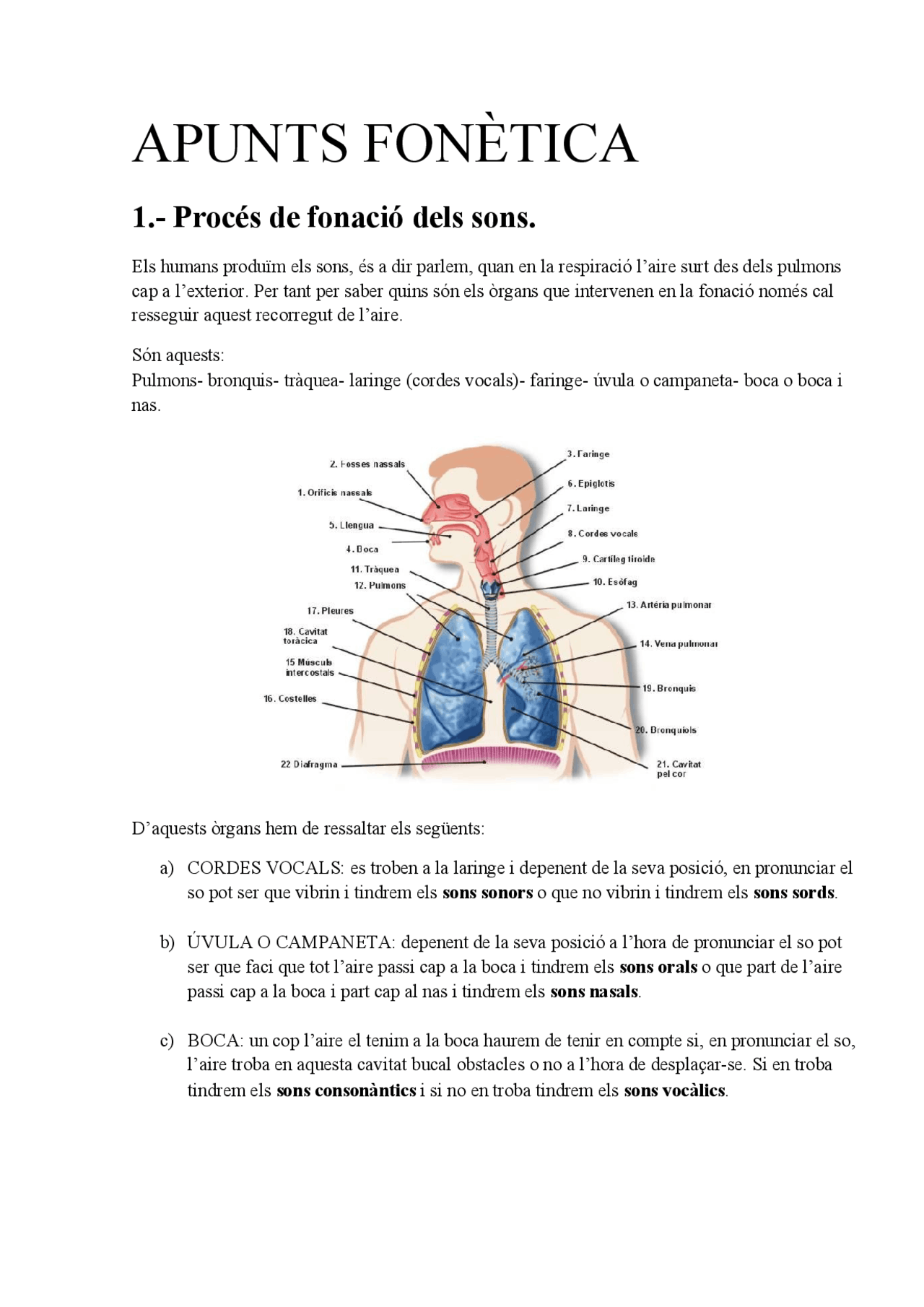 Apunts De Fonètica Docsity