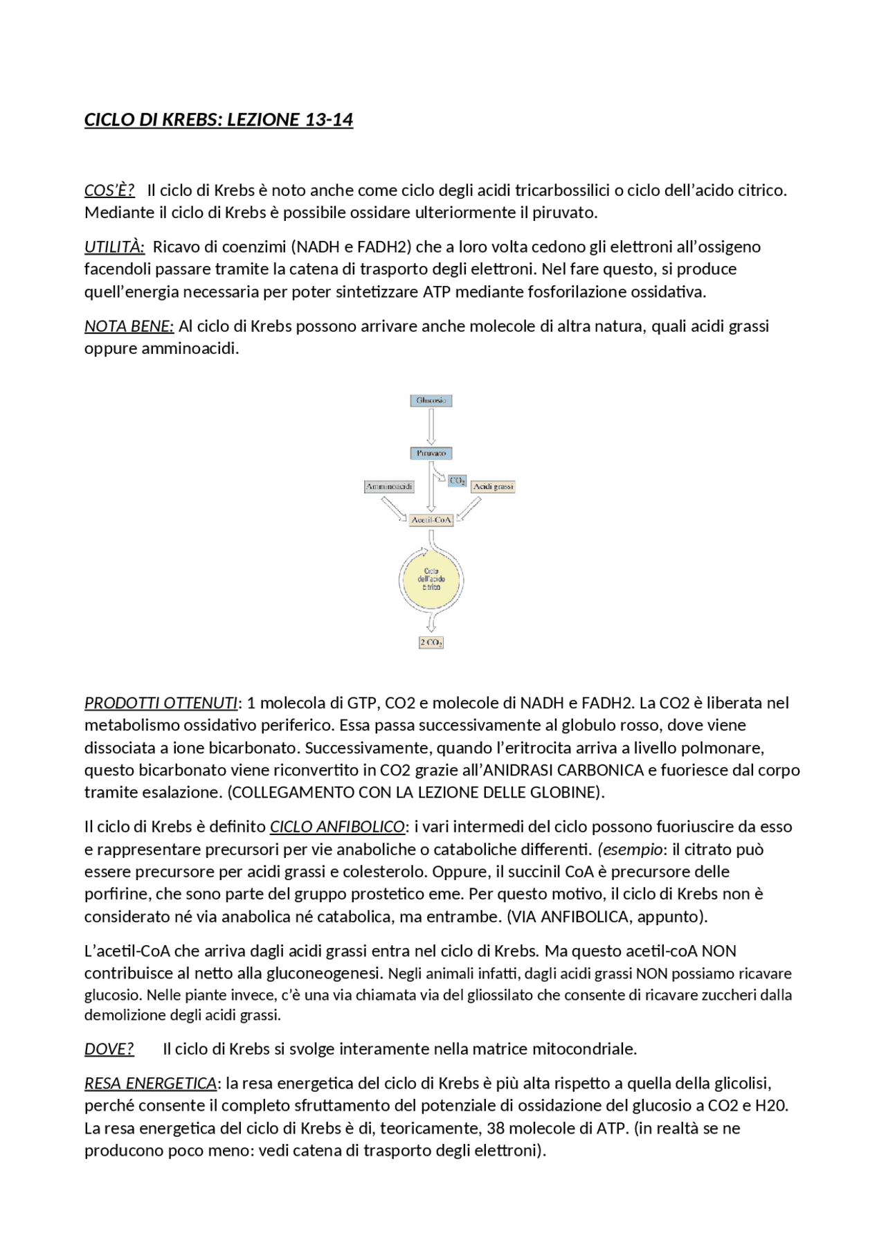 Ciclo Di Krebs E Sua Regolazione Docsity