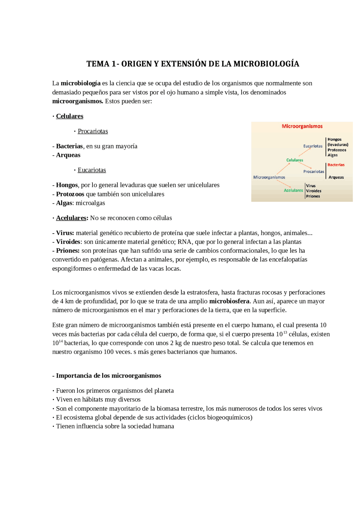 Apuntes Microbiología Docsity
