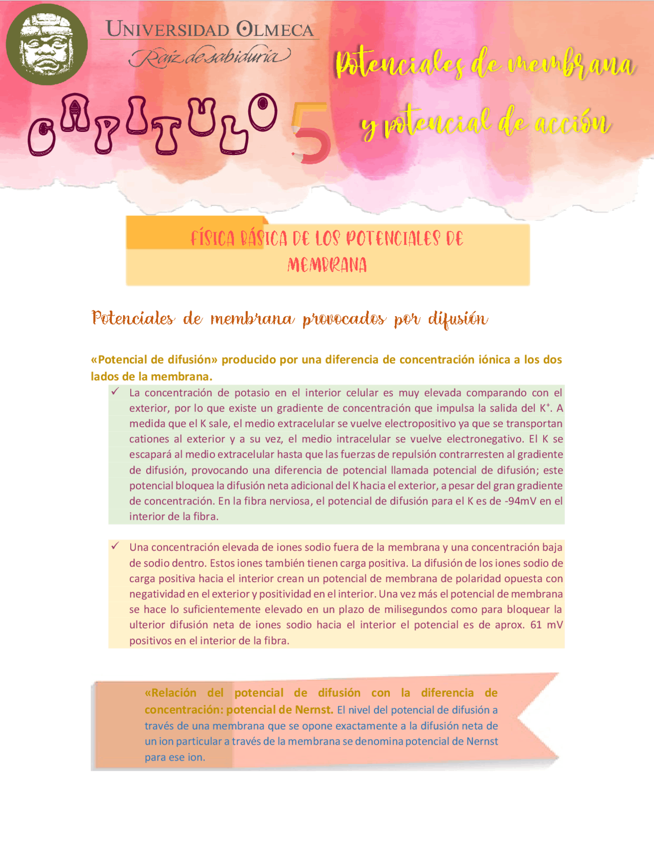 Capitulo 5 FisiologÍa De Guyton 13 EdiciÓn Docsity