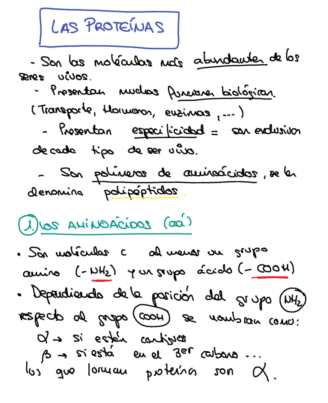 Resumen De Las ProteÍnas Apuntes De Biología Docsity