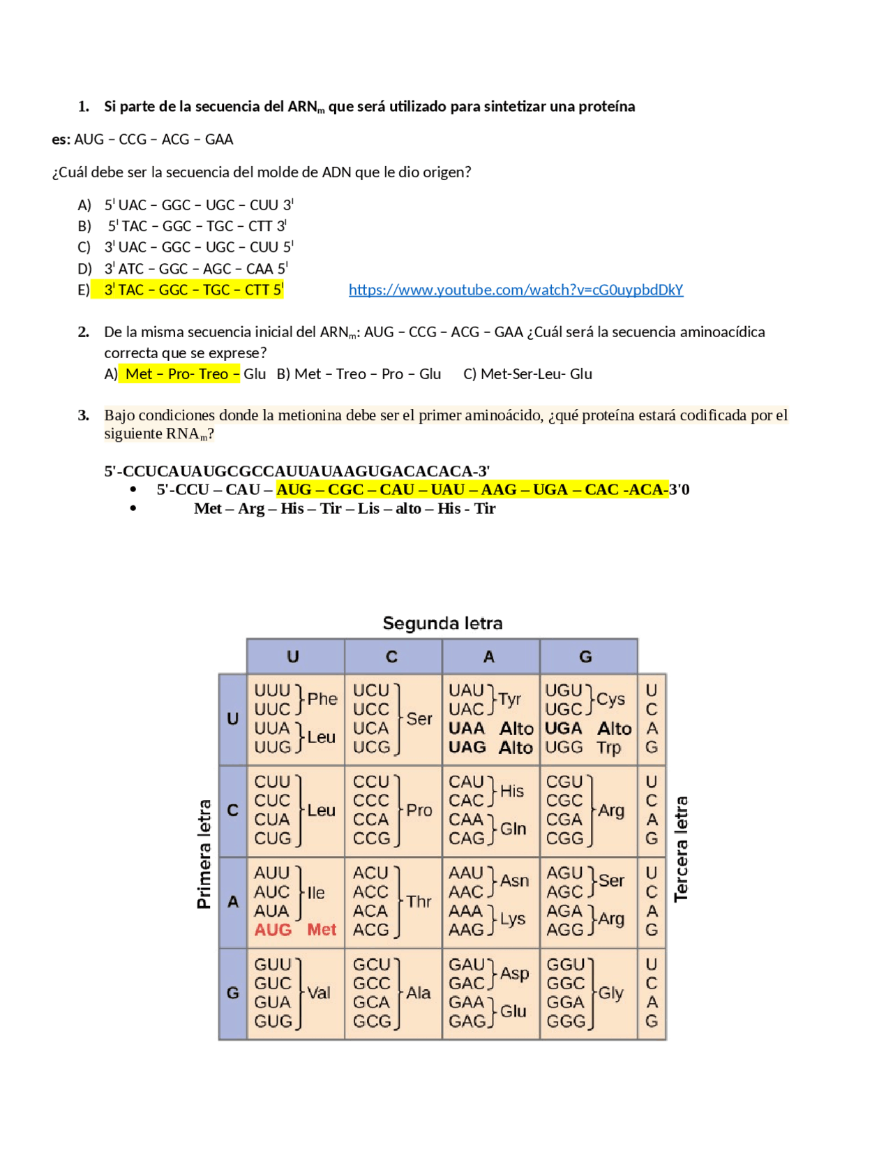 Hoja De Trabajo Sobre El Proceso Del Adn A La Proteína