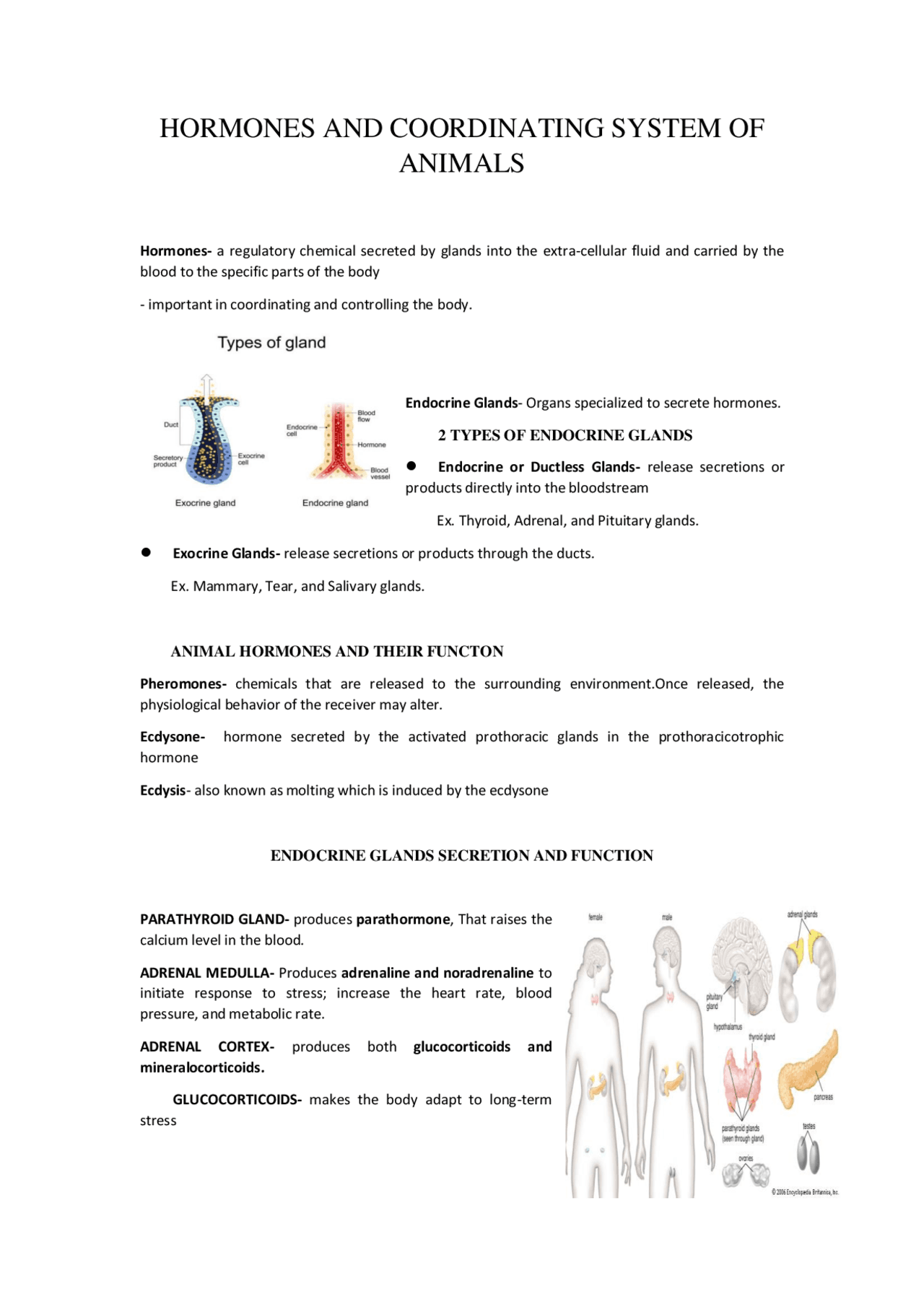 Hormones and coordinating systems of animals summary topic - Docsity