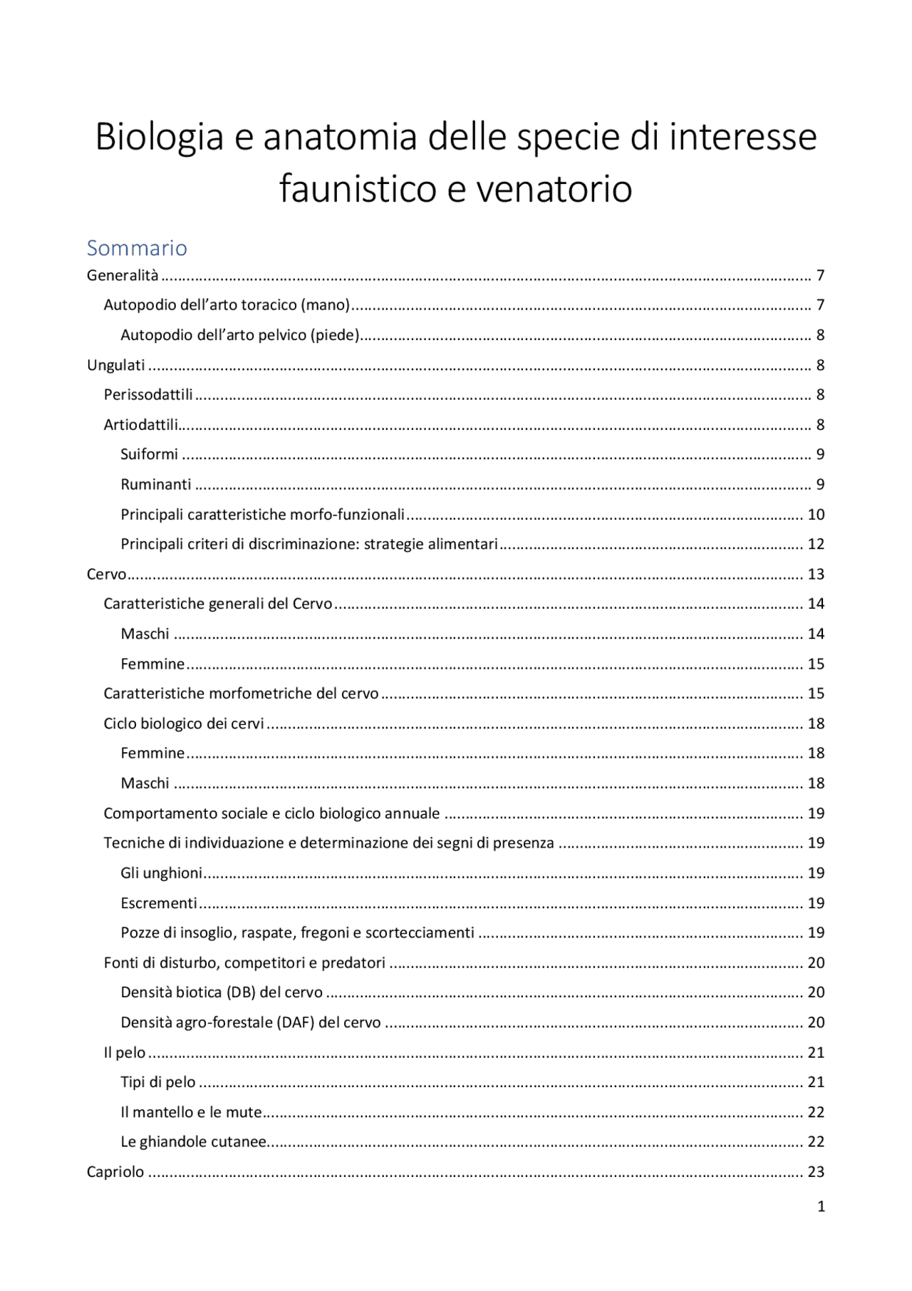 Anatomia Del Cranio Del Cervo Dalla Coda Bianca