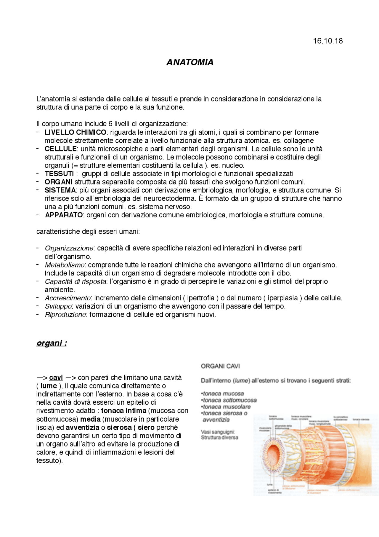 Anatomia Infermieristica 1° Anno Docsity